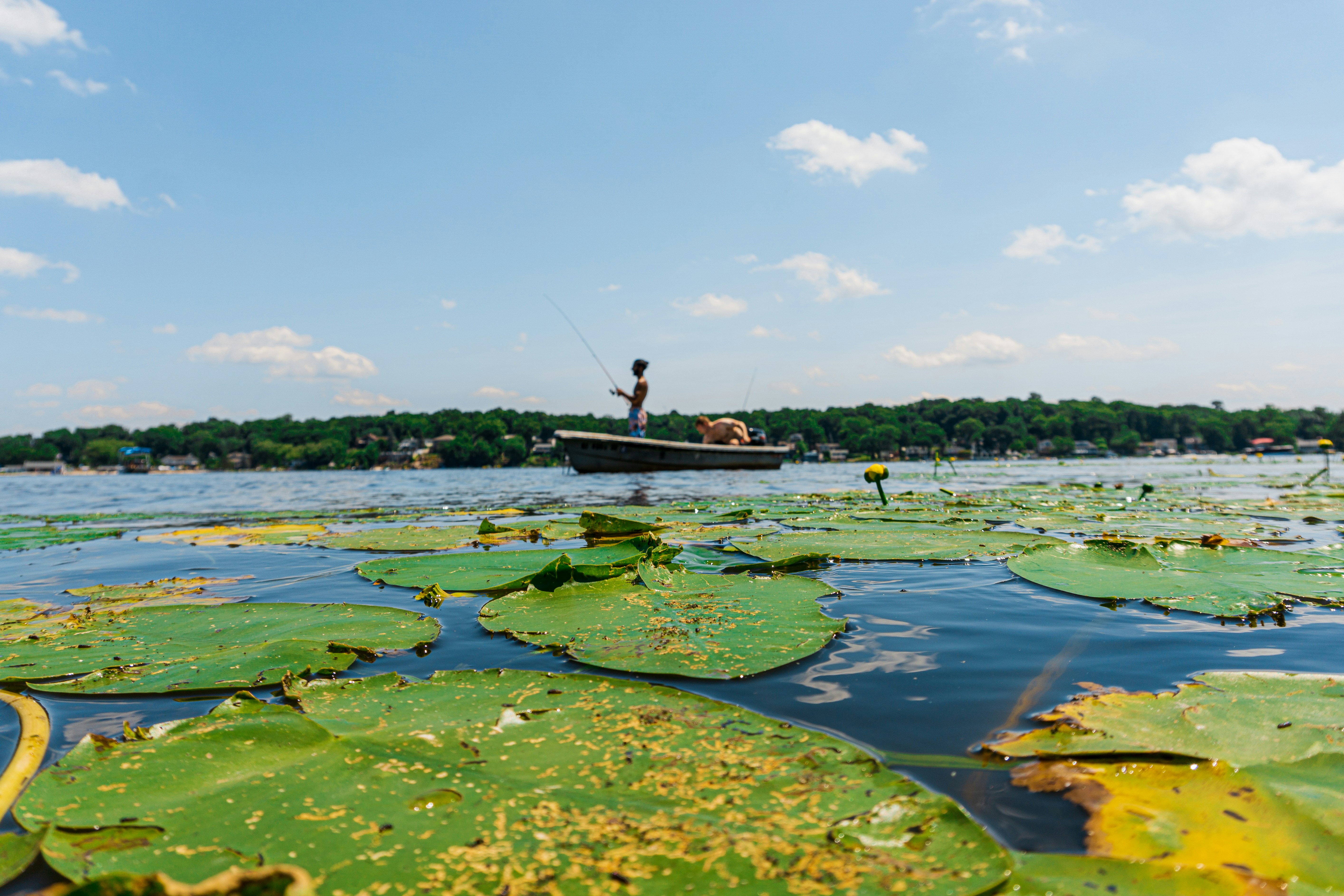 Lily pads in the foreground while men fish off a rowboat in the distance | man riding on boat on water during daytime