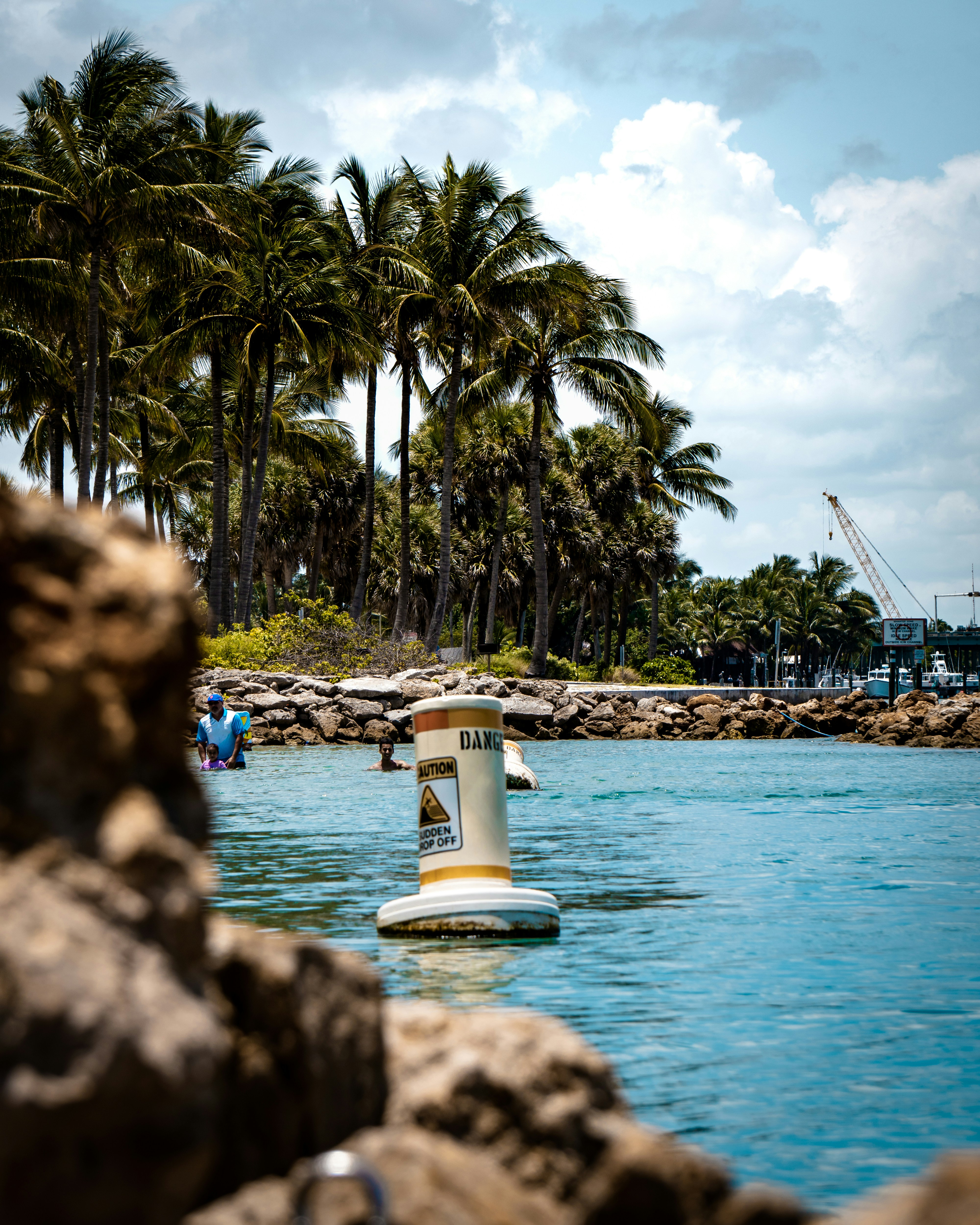 Yellow Buoy Anchored in Turquoise Waters Under a Palm-Fringed Shore
