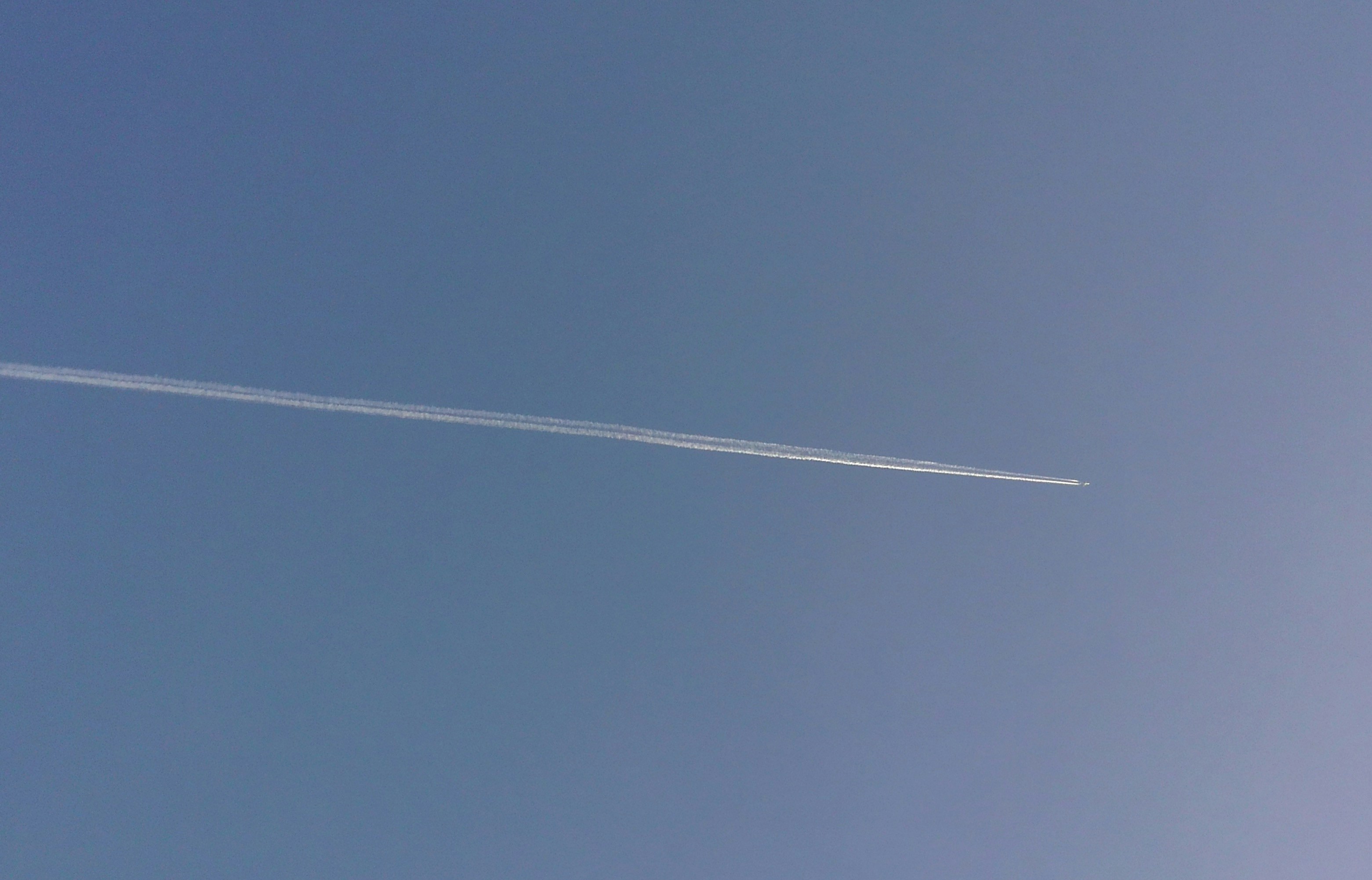 Contrail
