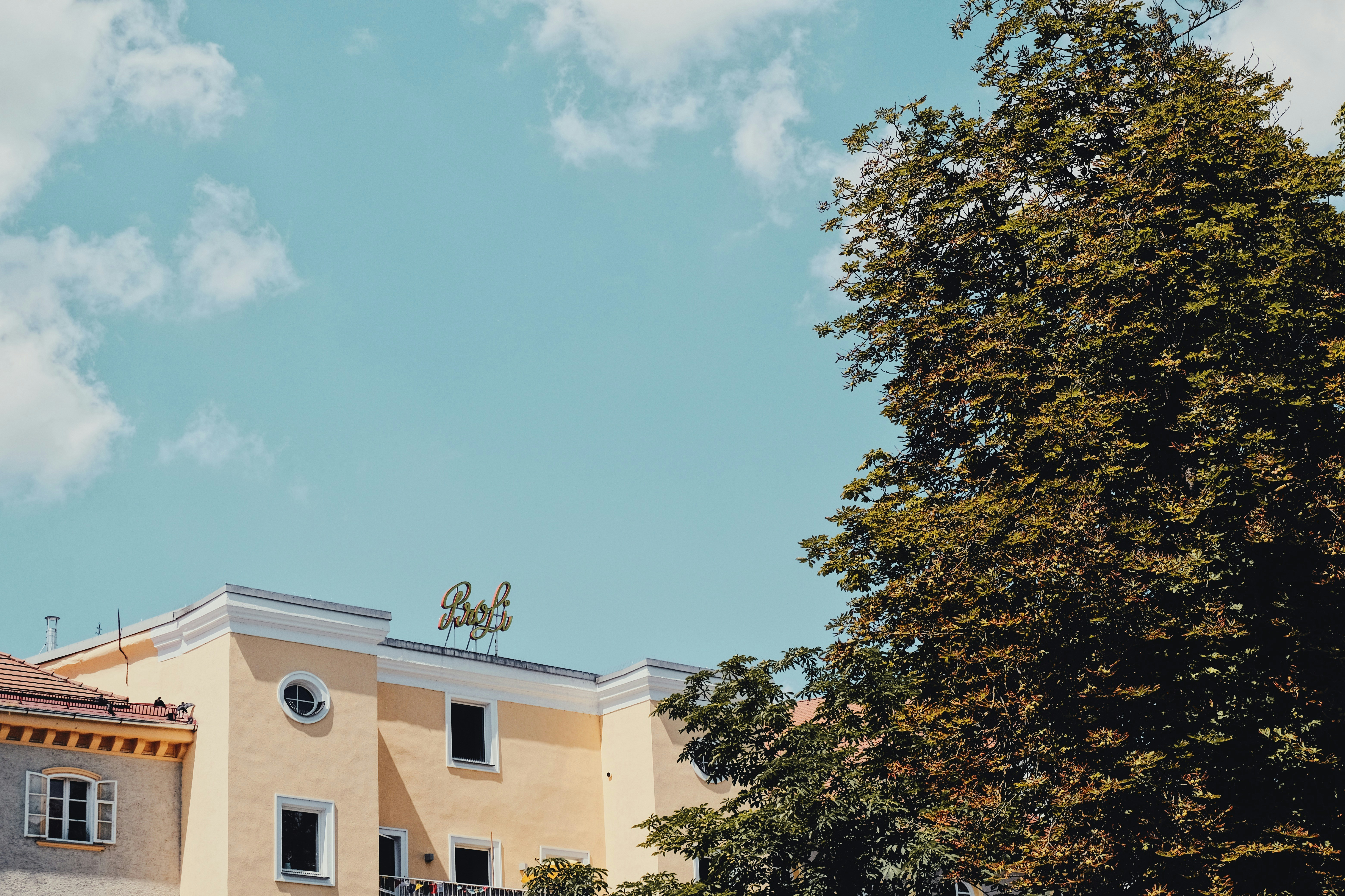 Historic building with pastel walls and ornate windows beside a leafy tree under a bright blue sky.