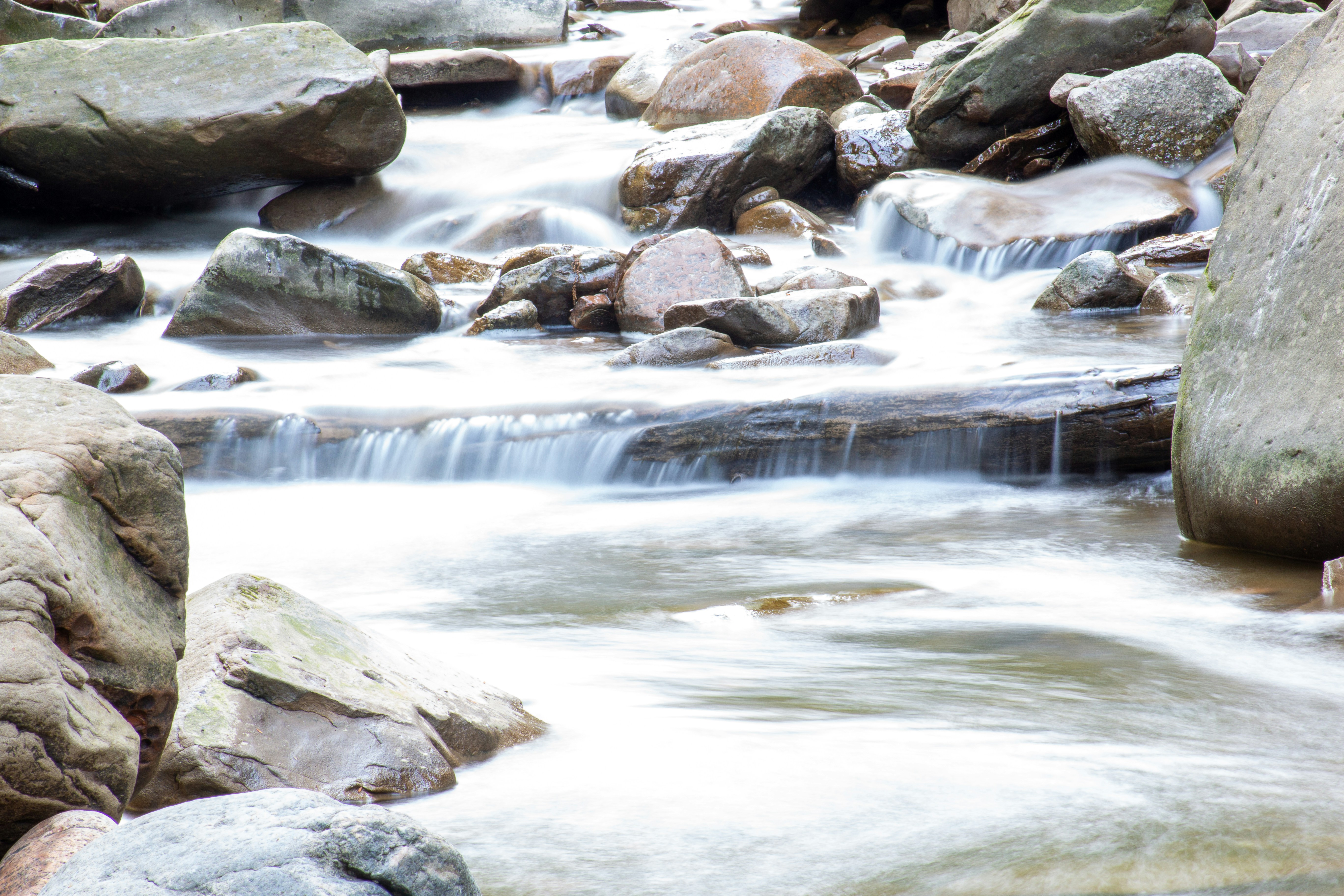 Water | 7 best free water, outdoor, stream and river photos on Unsplash