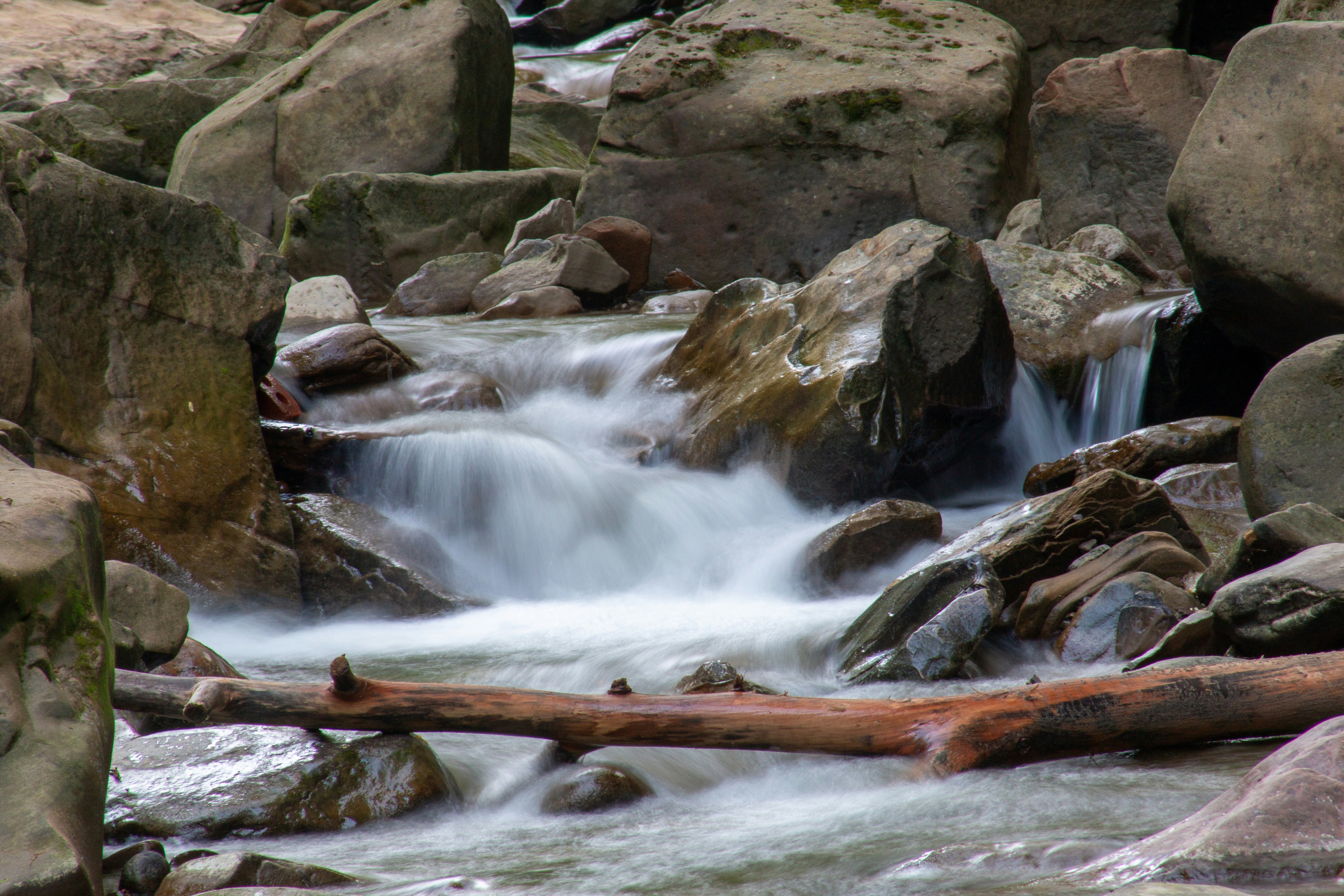 Water | 7 best free water, outdoor, stream and river photos on Unsplash