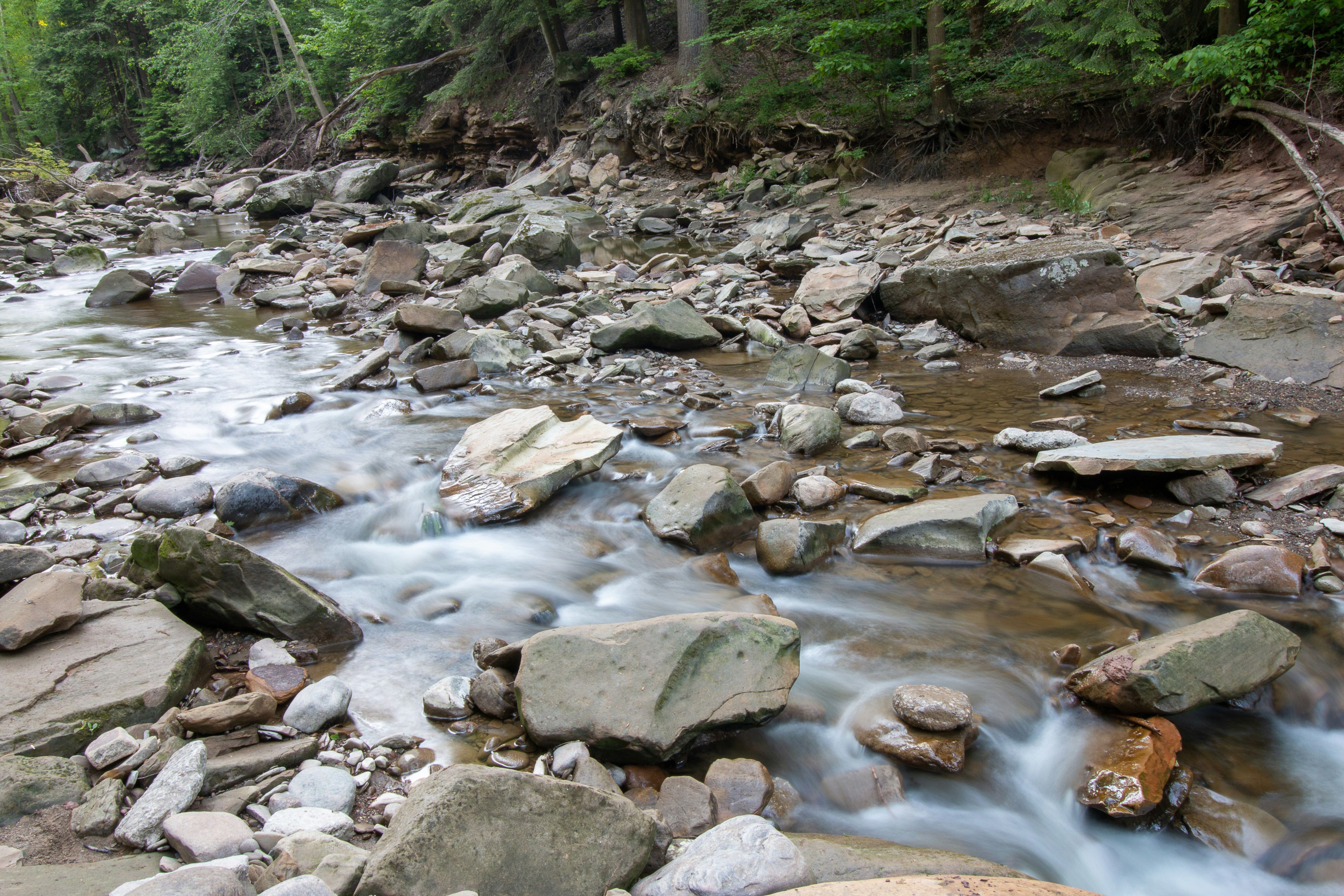 Water | 7 best free water, outdoor, stream and river photos on Unsplash