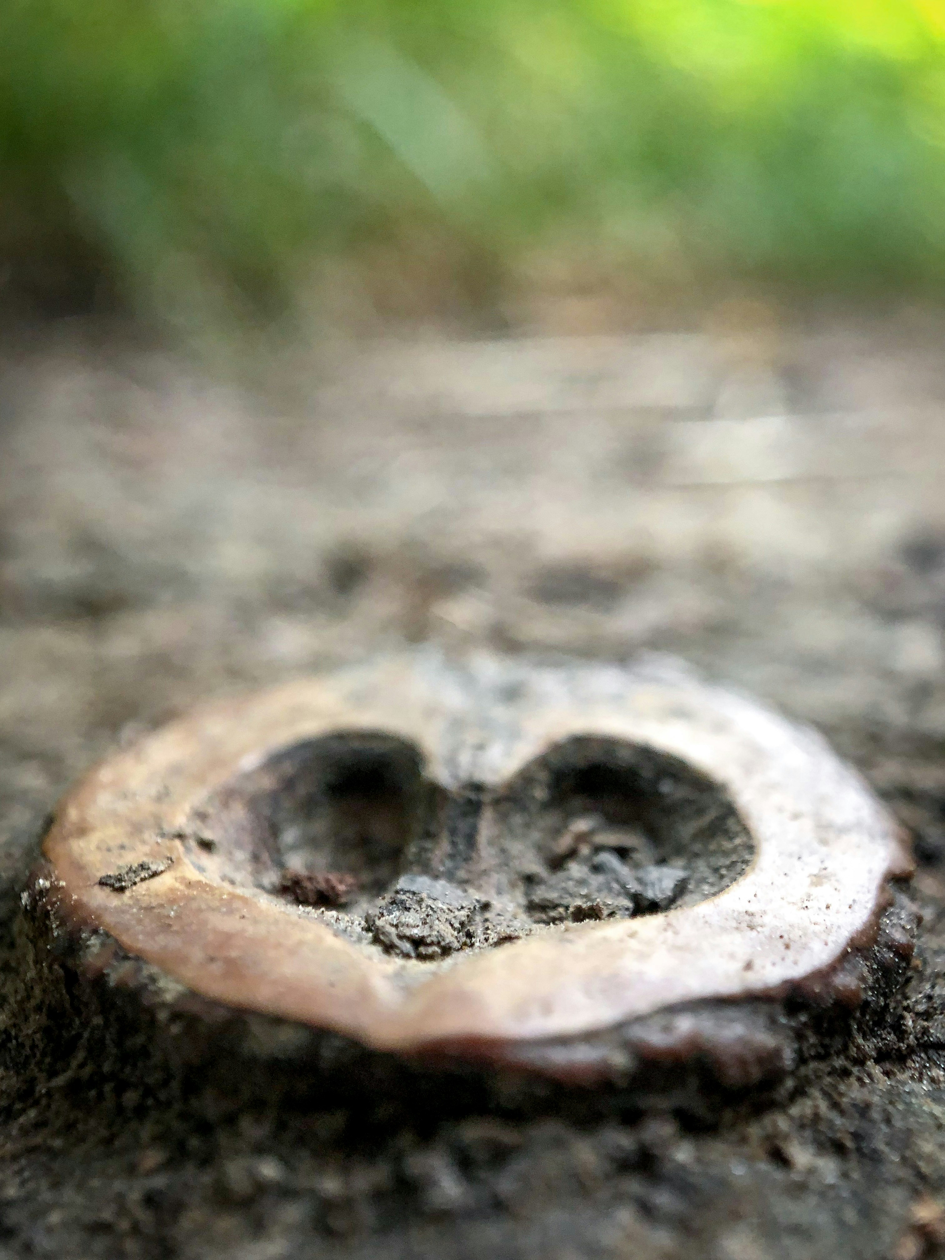 Nature's Forgotten Emblem