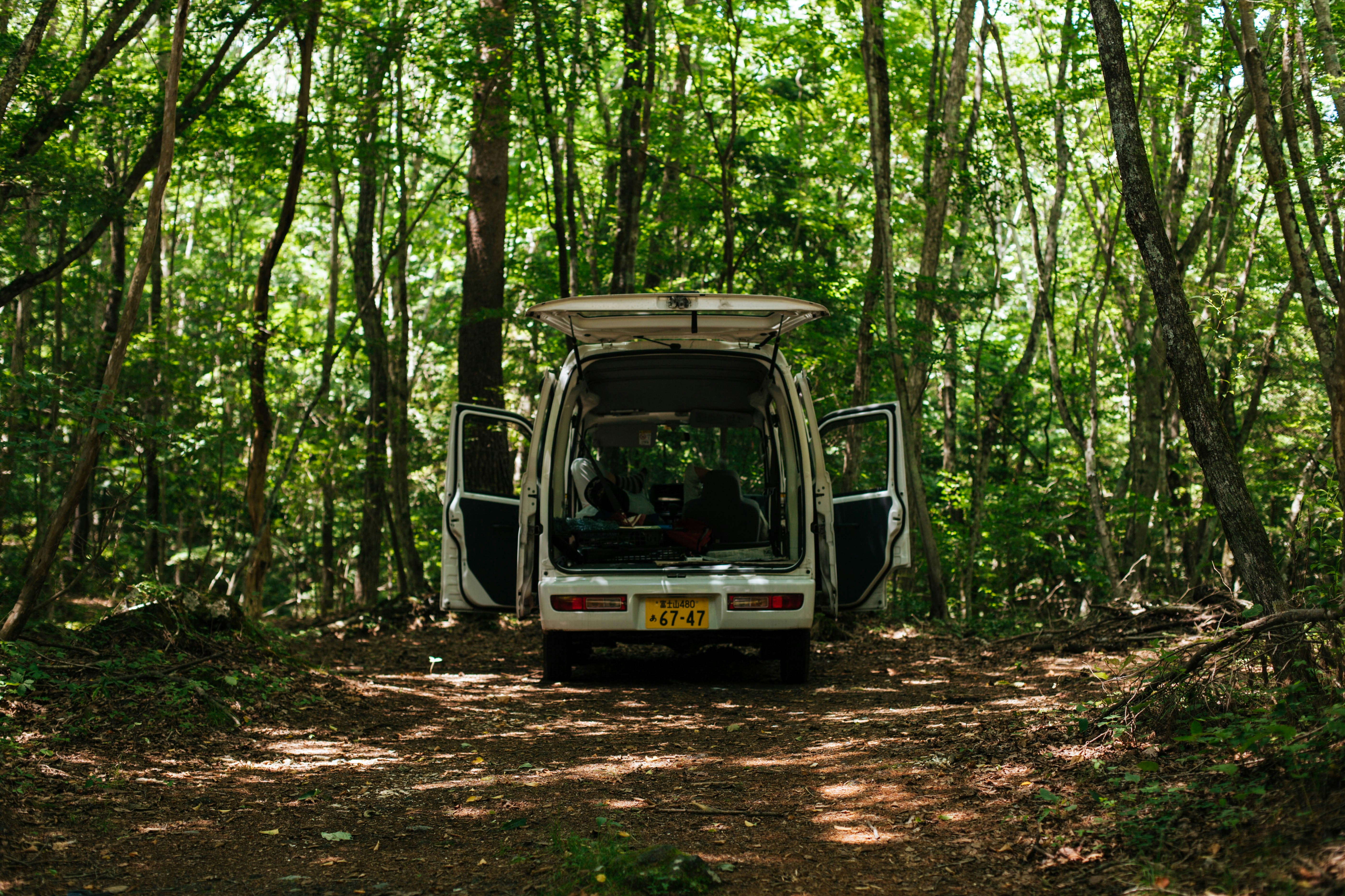 Open van parked on a woodland path surrounded by dense green trees.