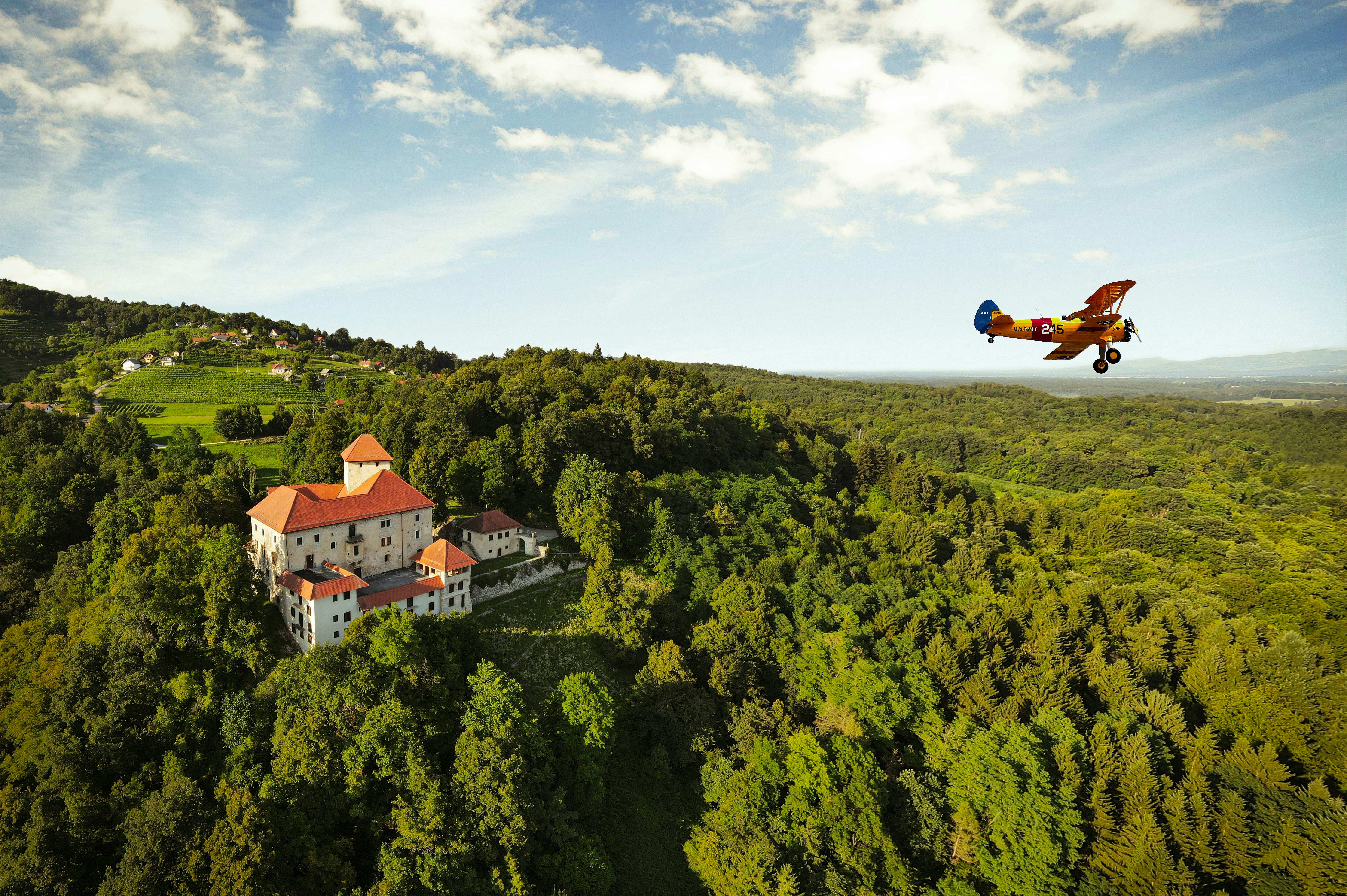 High-Flying Outpost: A Villager’s Flight Over a Rolling Castle Estate