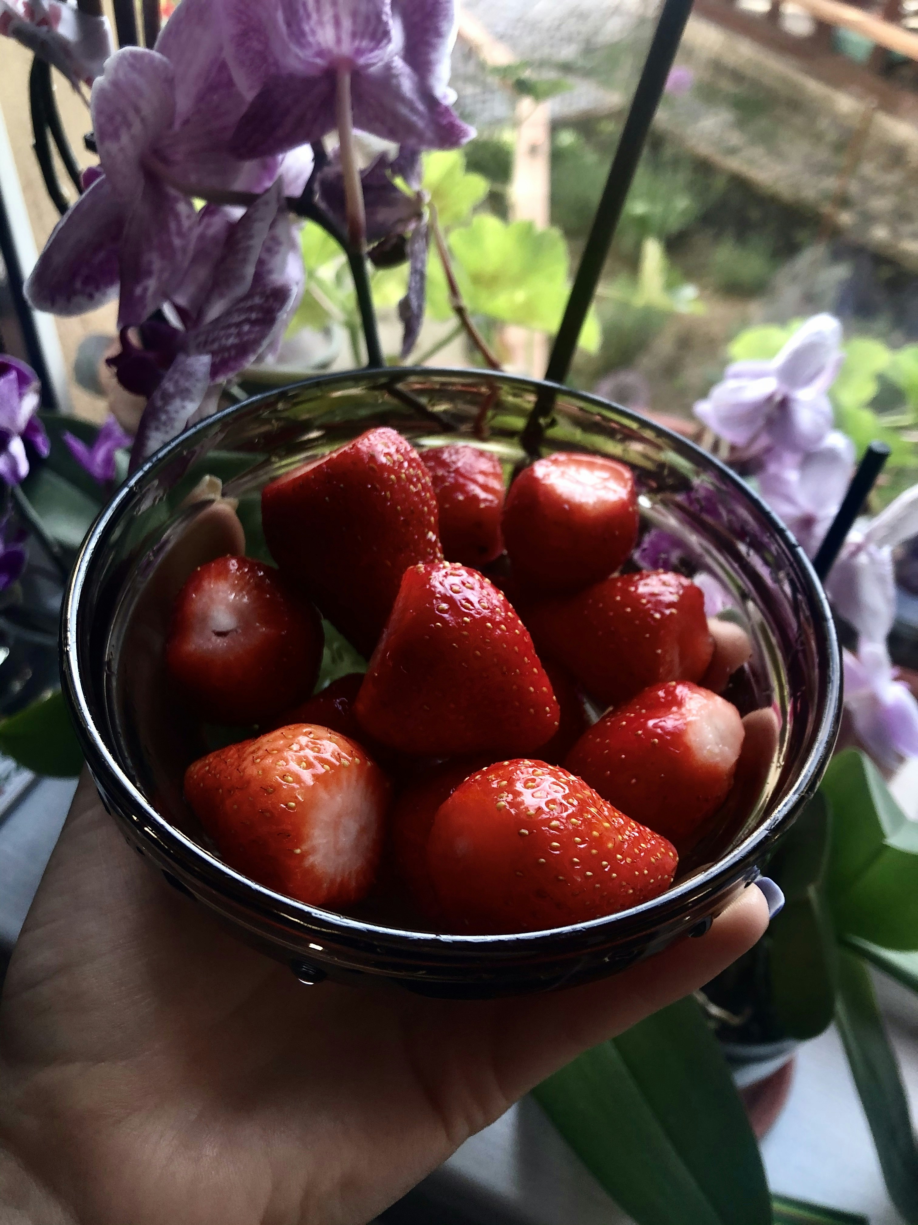 Ruby Berries in a Glass Bowl on a Sunlit Windowsill