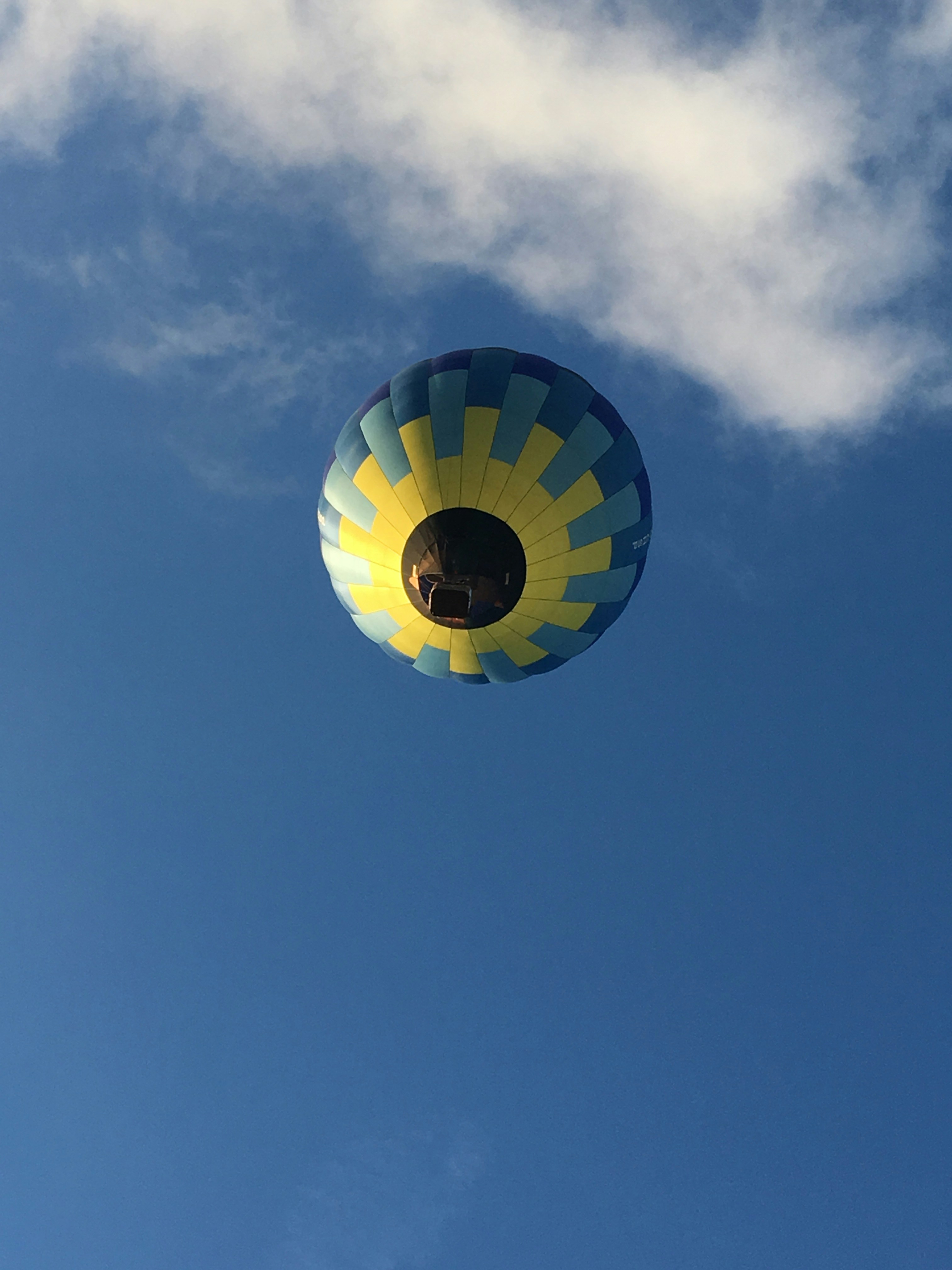 green yellow and blue hot air balloon in mid air under blue sky during daytime