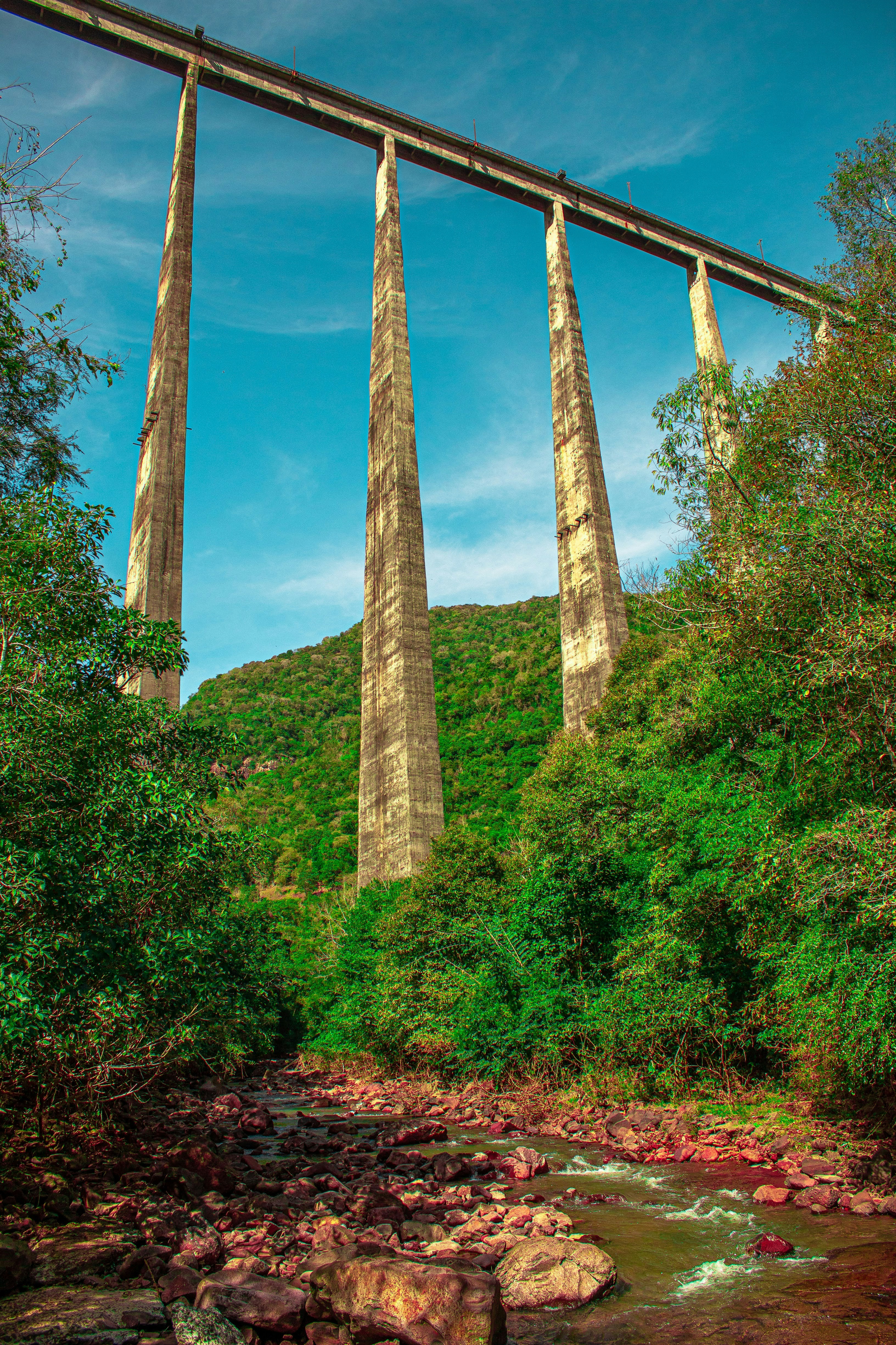 Árvores e plantas verdes durante o dia foto – Imagem grátis sobre Edifício na Unsplash