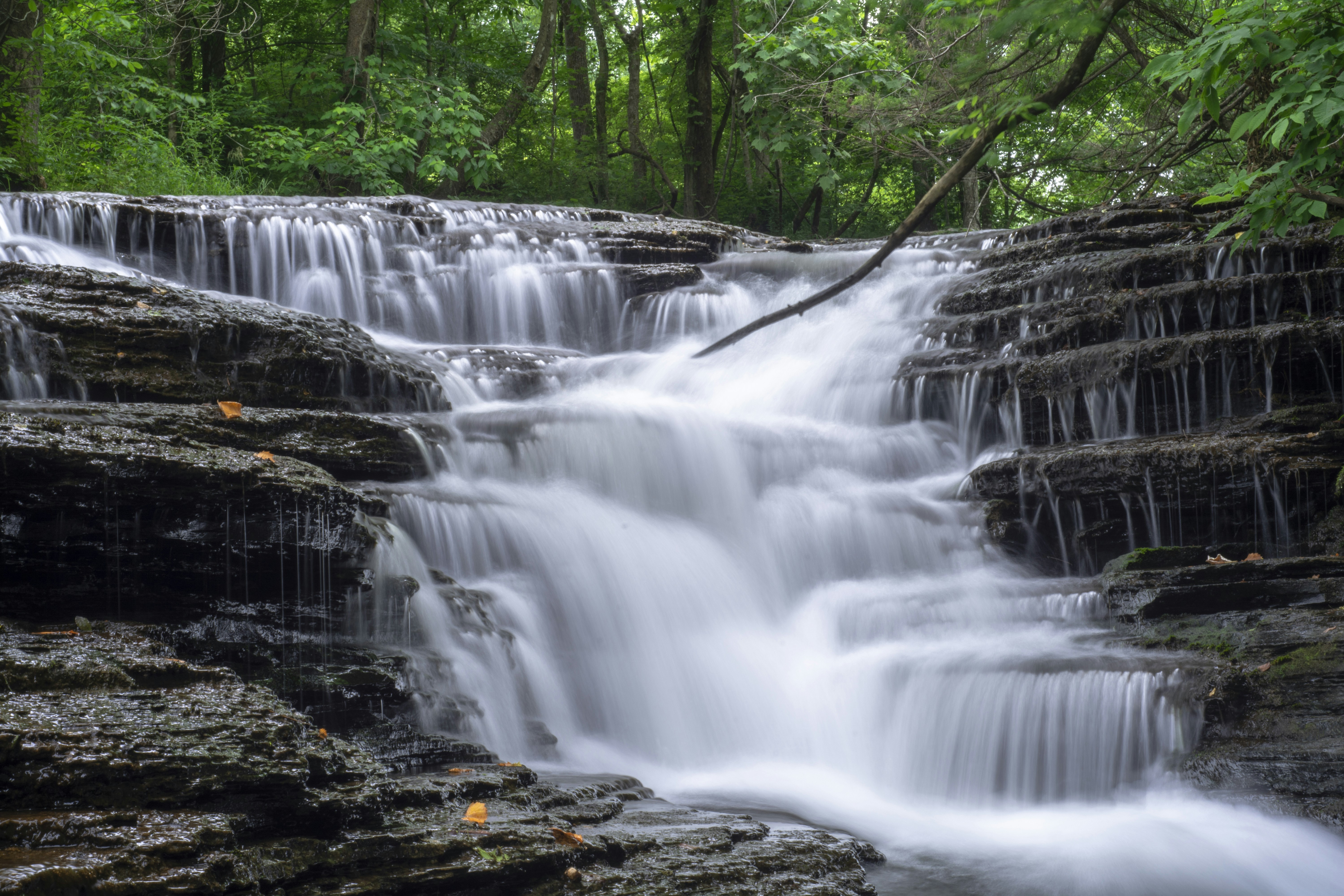 Waterfall cascading over layered rocks in a lush forest setting.
