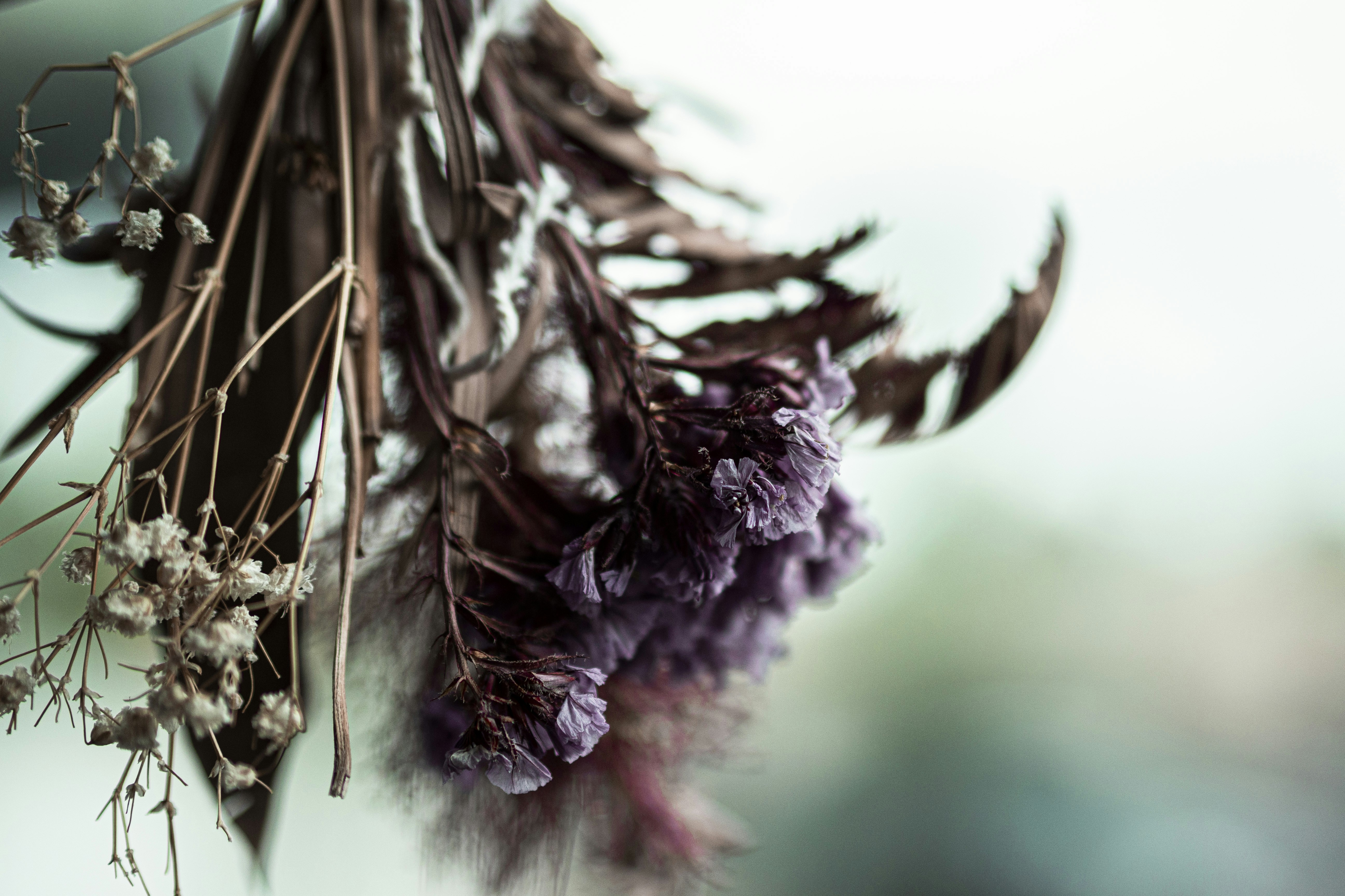 Withered Florals in Soft Focus: A Quiet, Fragrant Curtain of Dried Blooms