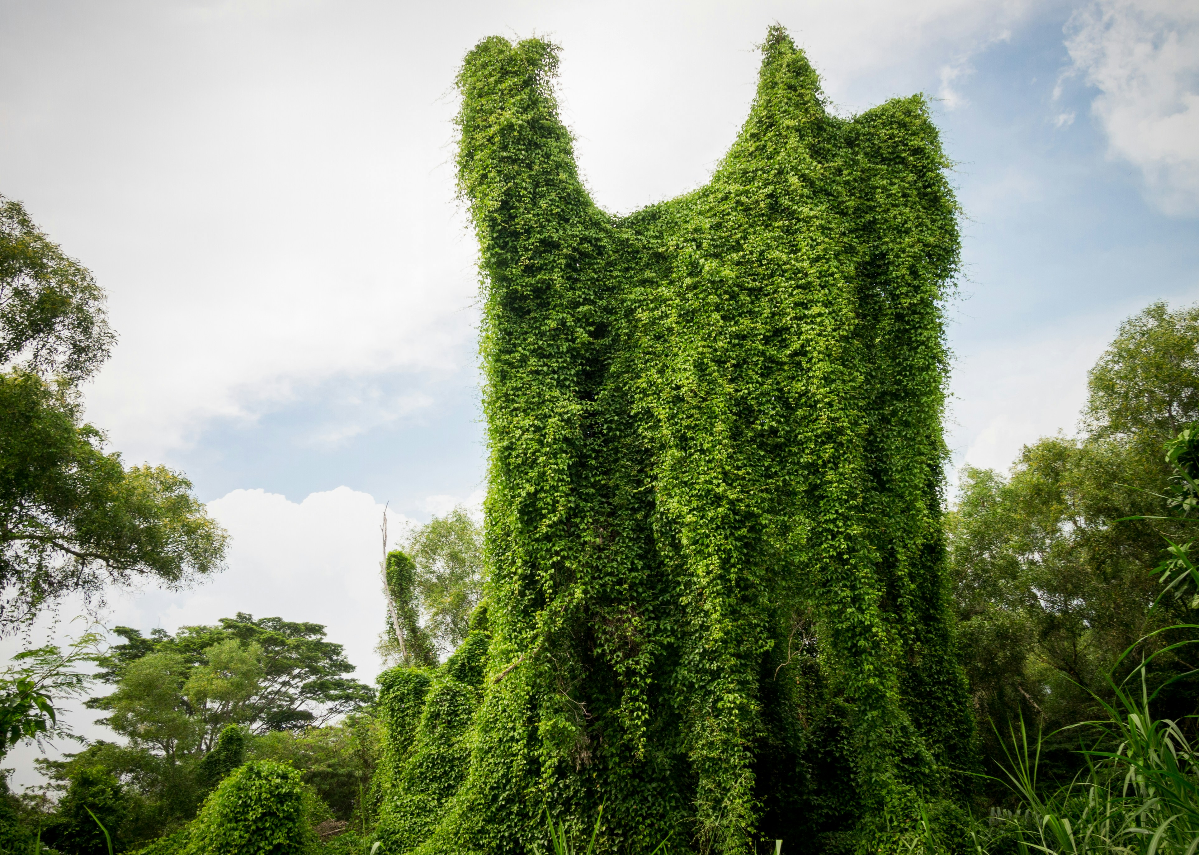 Dense ivy cloaks a tall, sculptural structure rising above lush greenery, creating a living mural set against a bright sky.