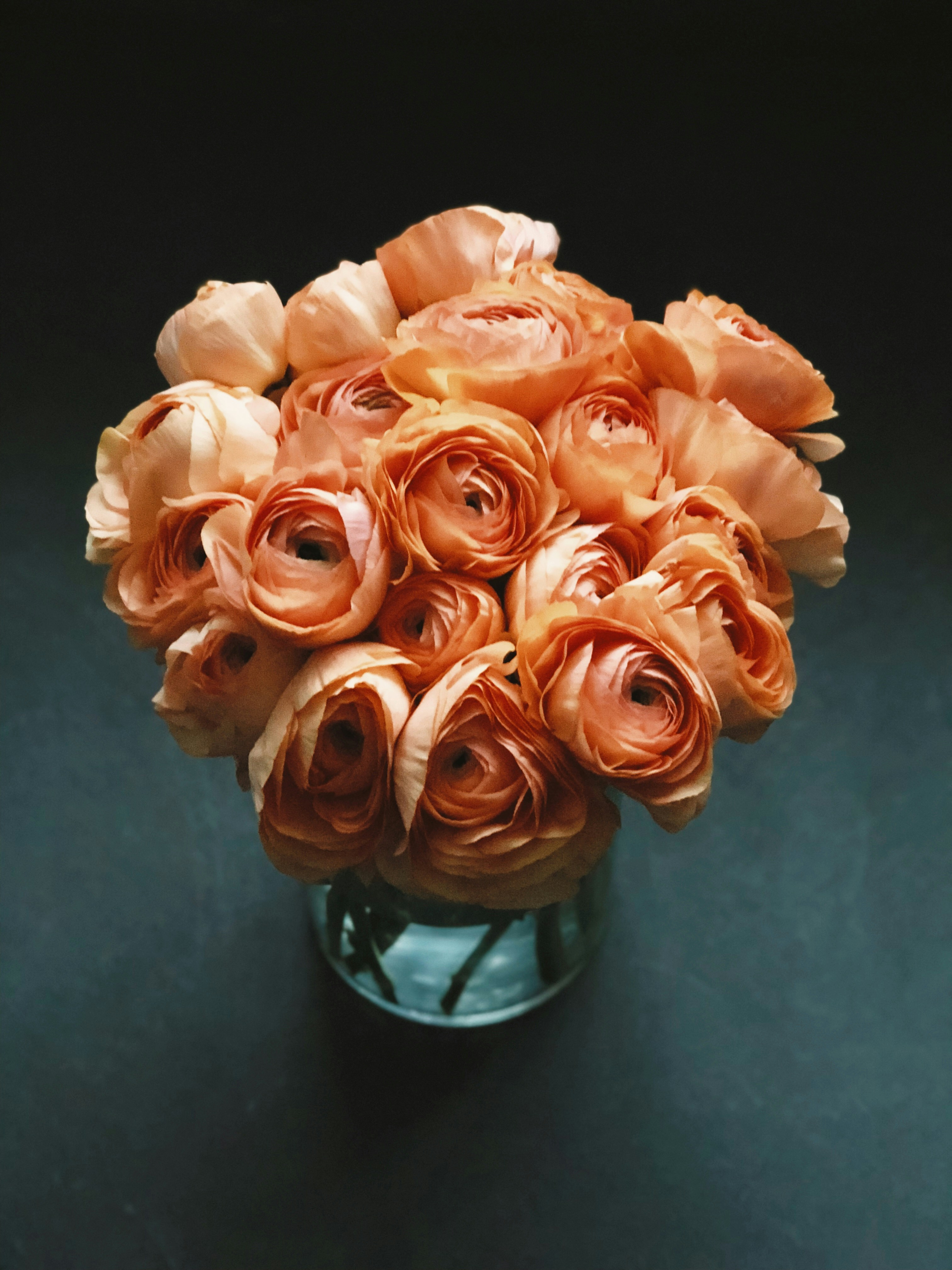 Bouquet of apricot-hued ranunculus flowers arranged in a glass vase against a dark background.