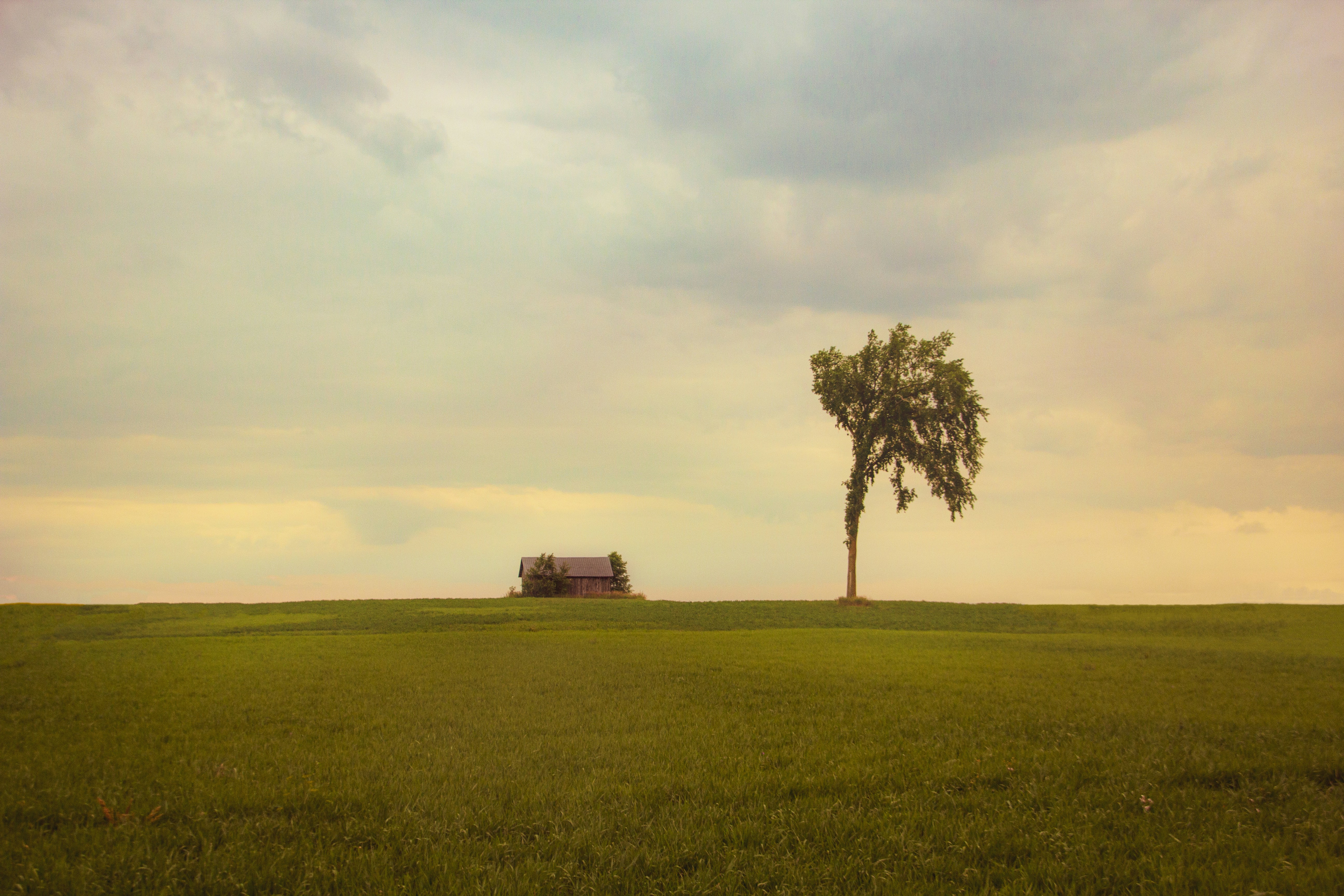 Adam Hamel (@adam_hamel) | Unsplash Photo Community