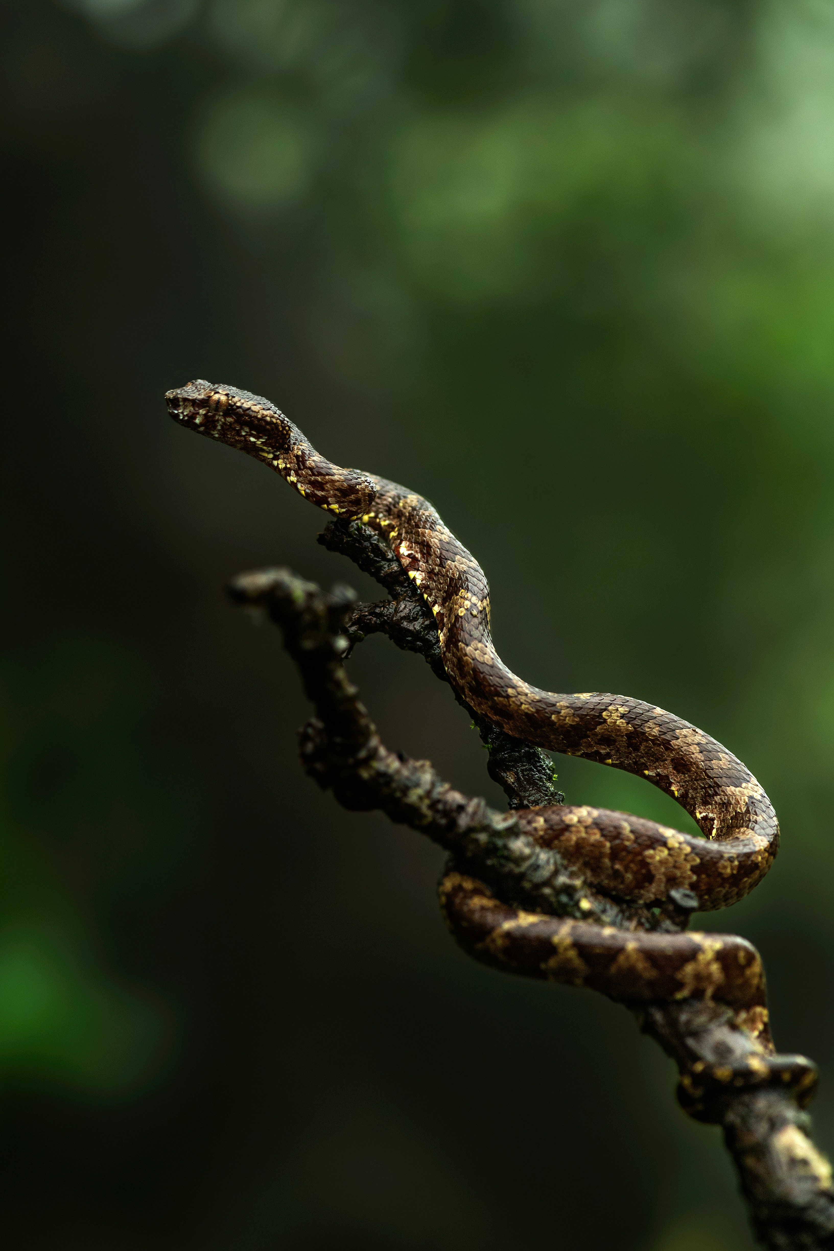 Keyur Nandaniya (@keyursphotography) | Unsplash Photo Community