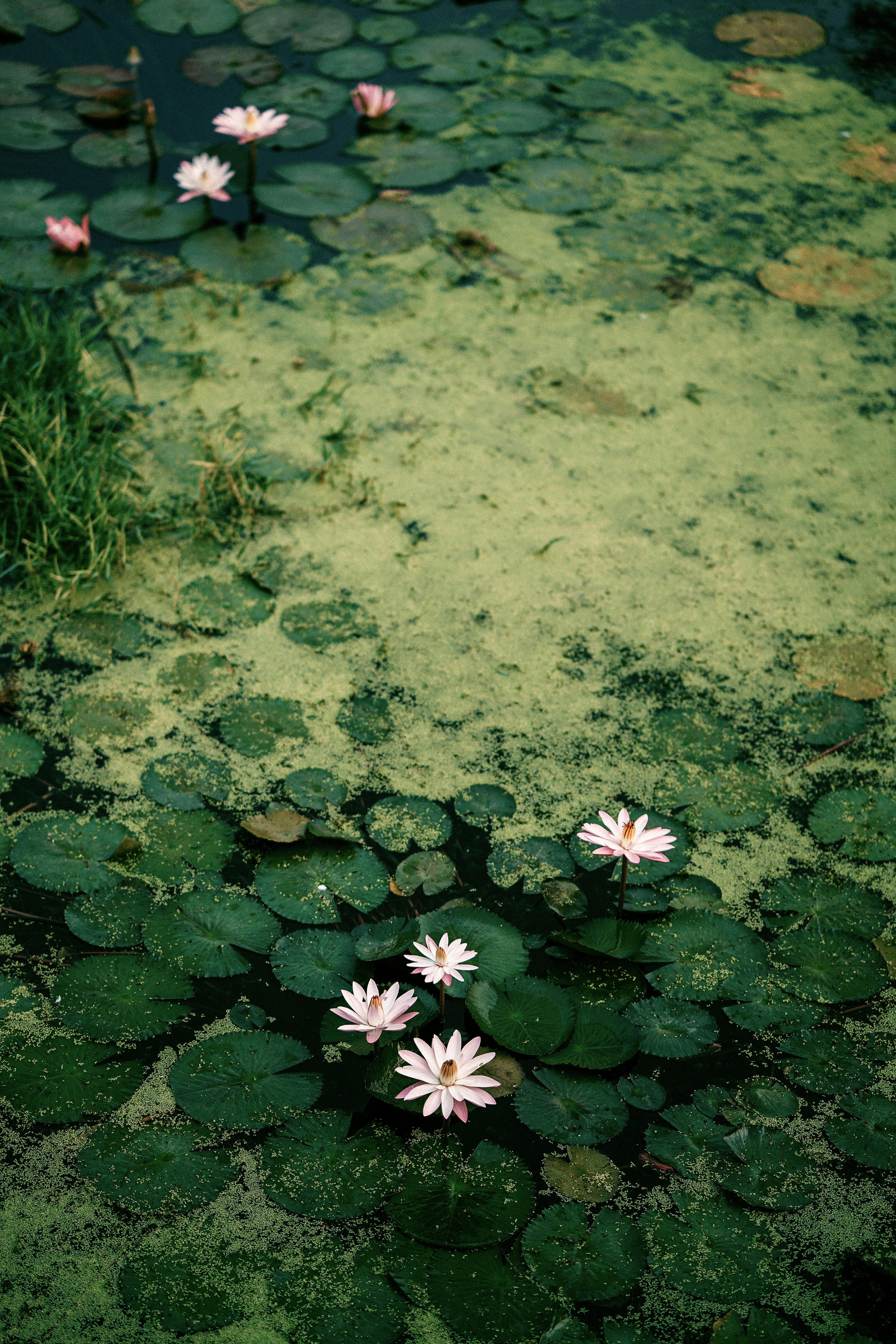 this Image click from sony 7miii 

join us on social media 

Instagram : https://www.instagram.com/shutterimage/
Facebook : https://www.facebook.com/shutterimageofficial