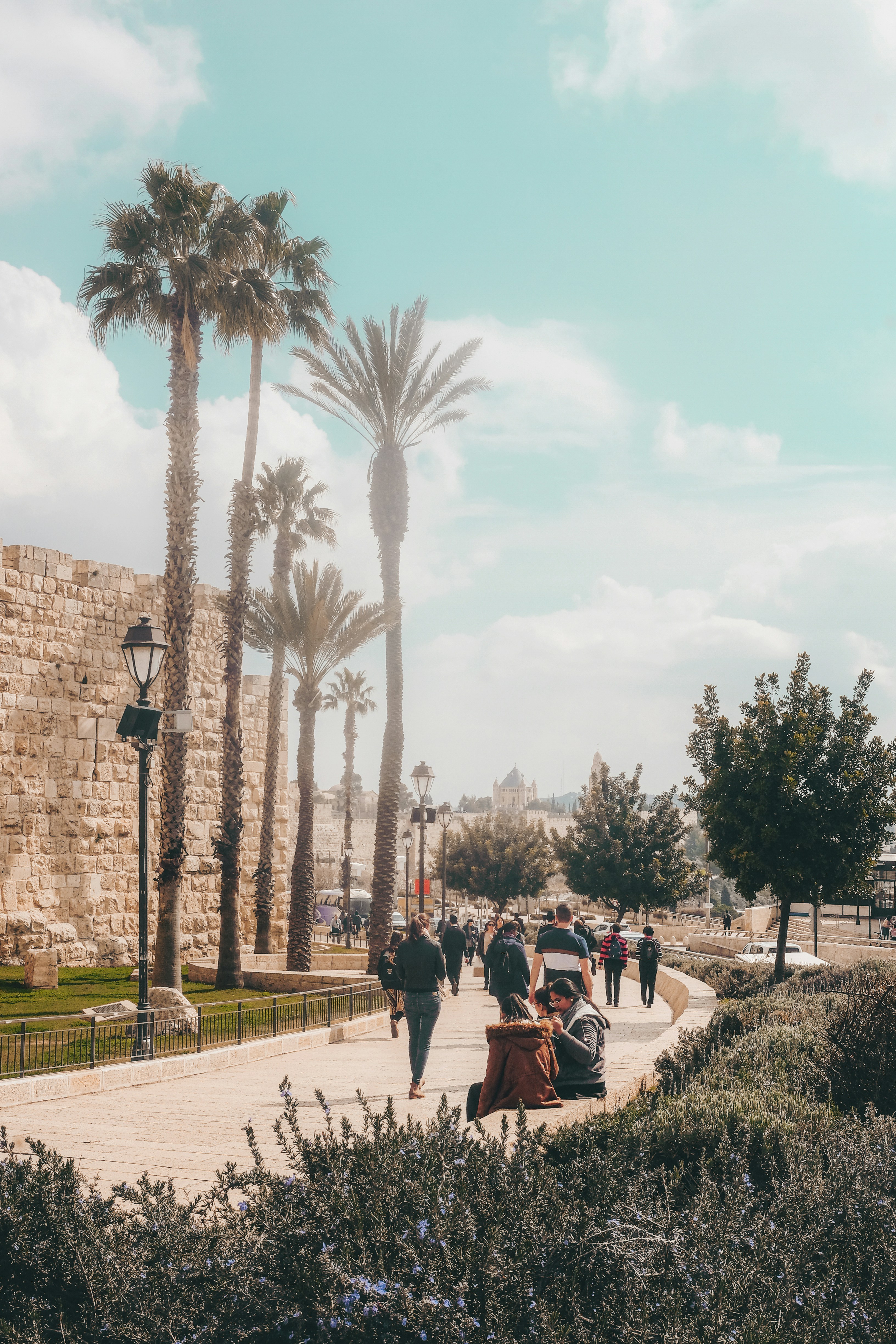 Palm-lined promenade in warm coastal light