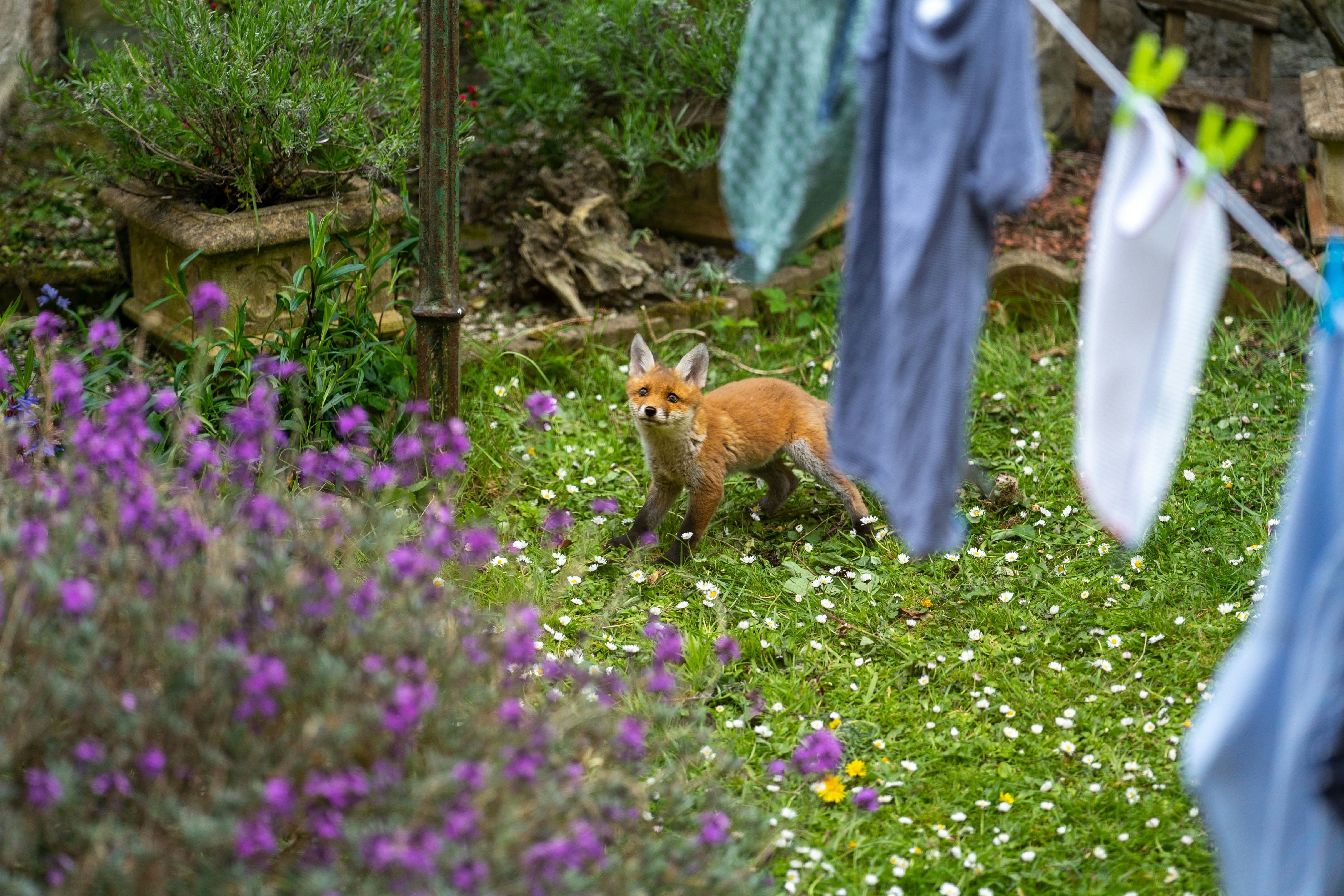 Plantaholics | Jess | Substack