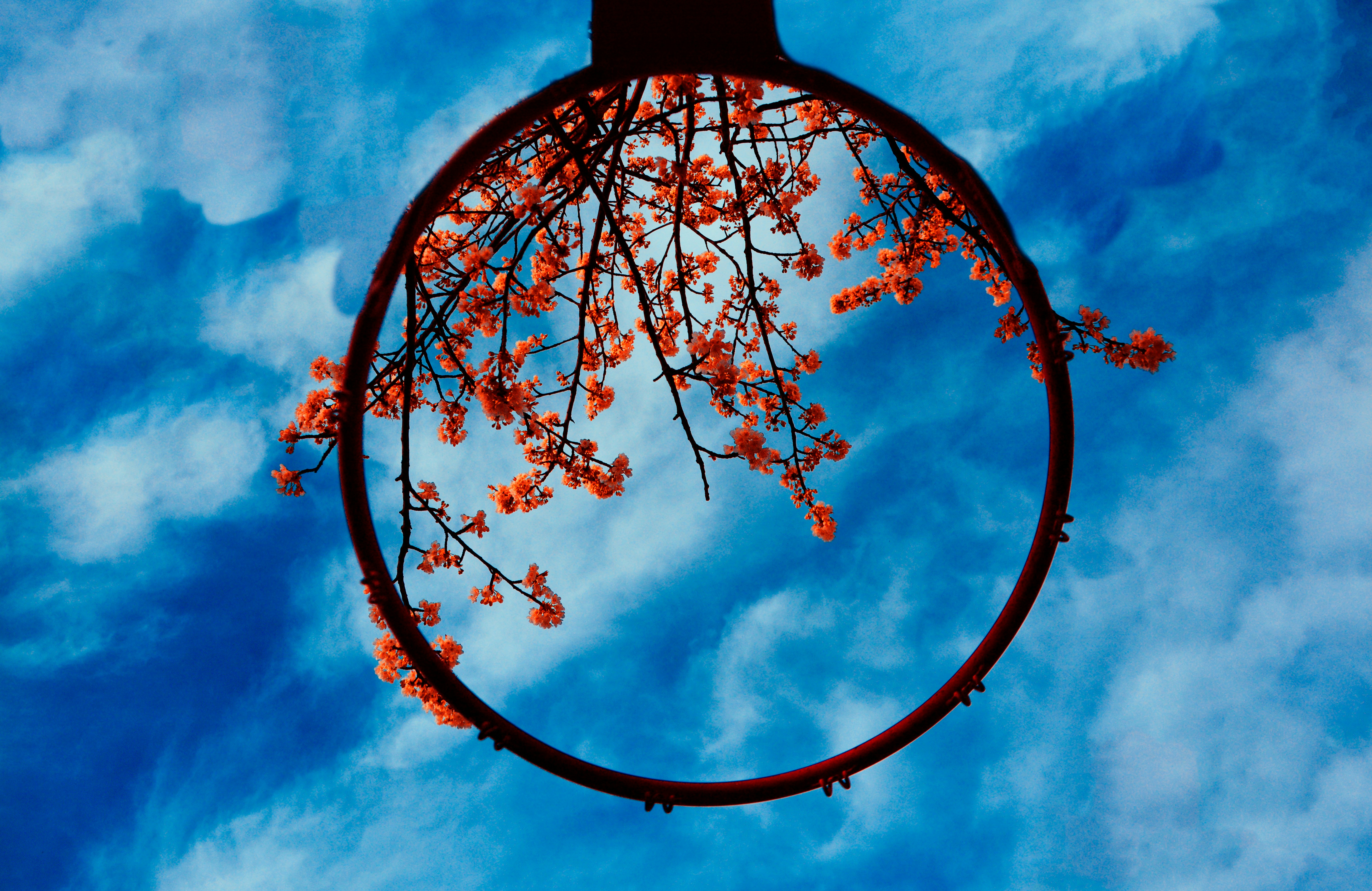 black and red round frame under blue sky