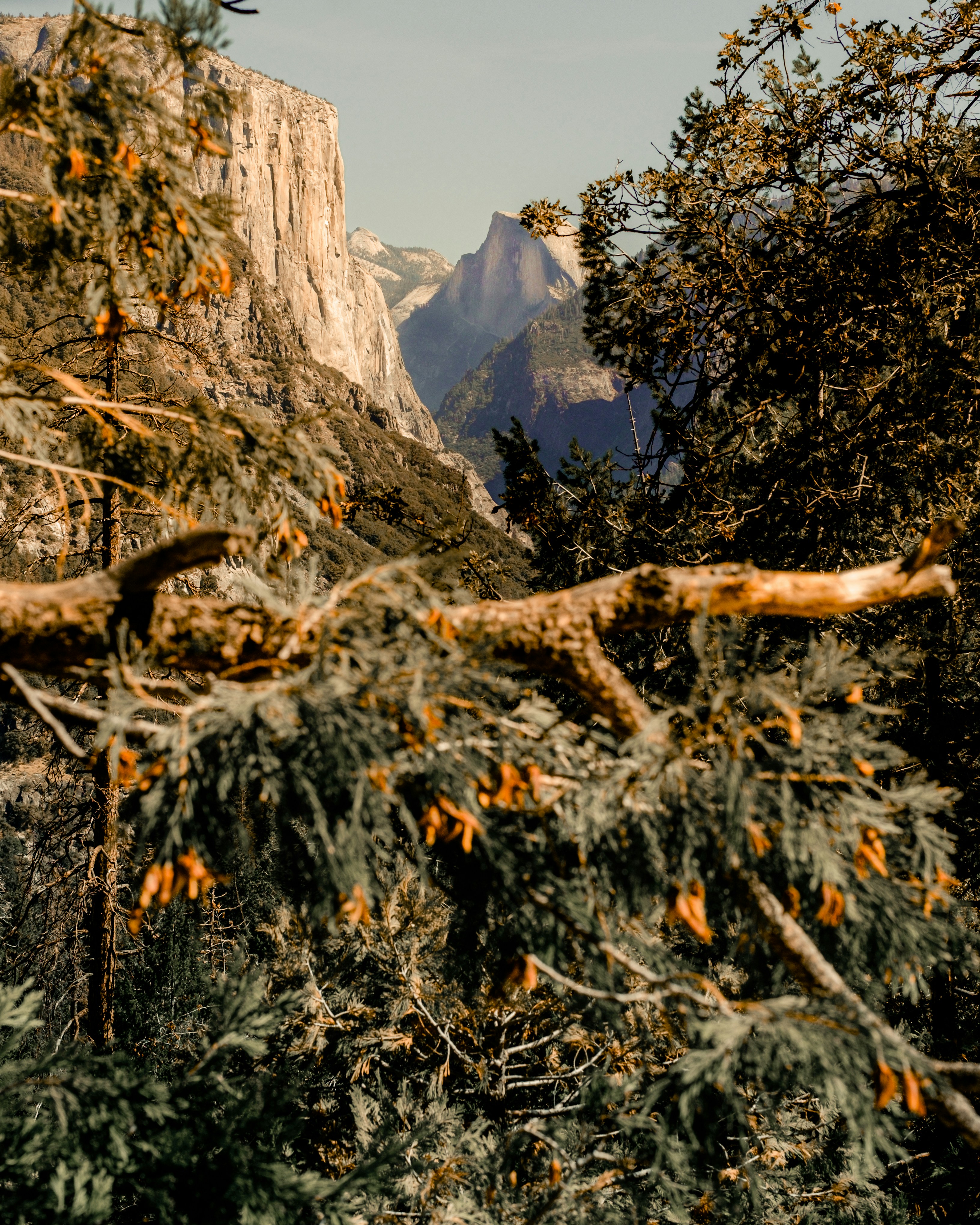 Taking a peek at the peaks