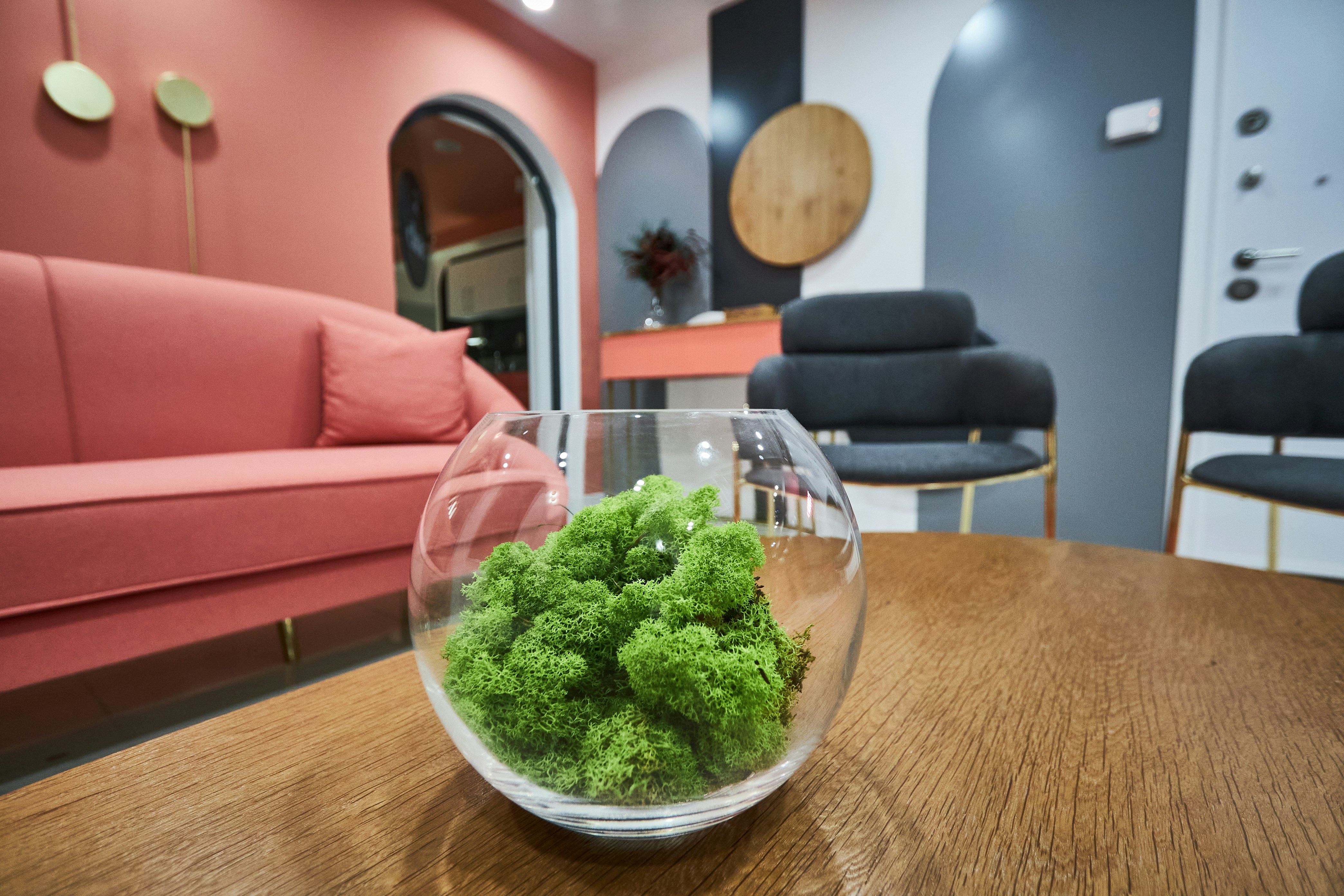 Verdant Microscape in a Glass Bowl Anchors a Modern Living Room