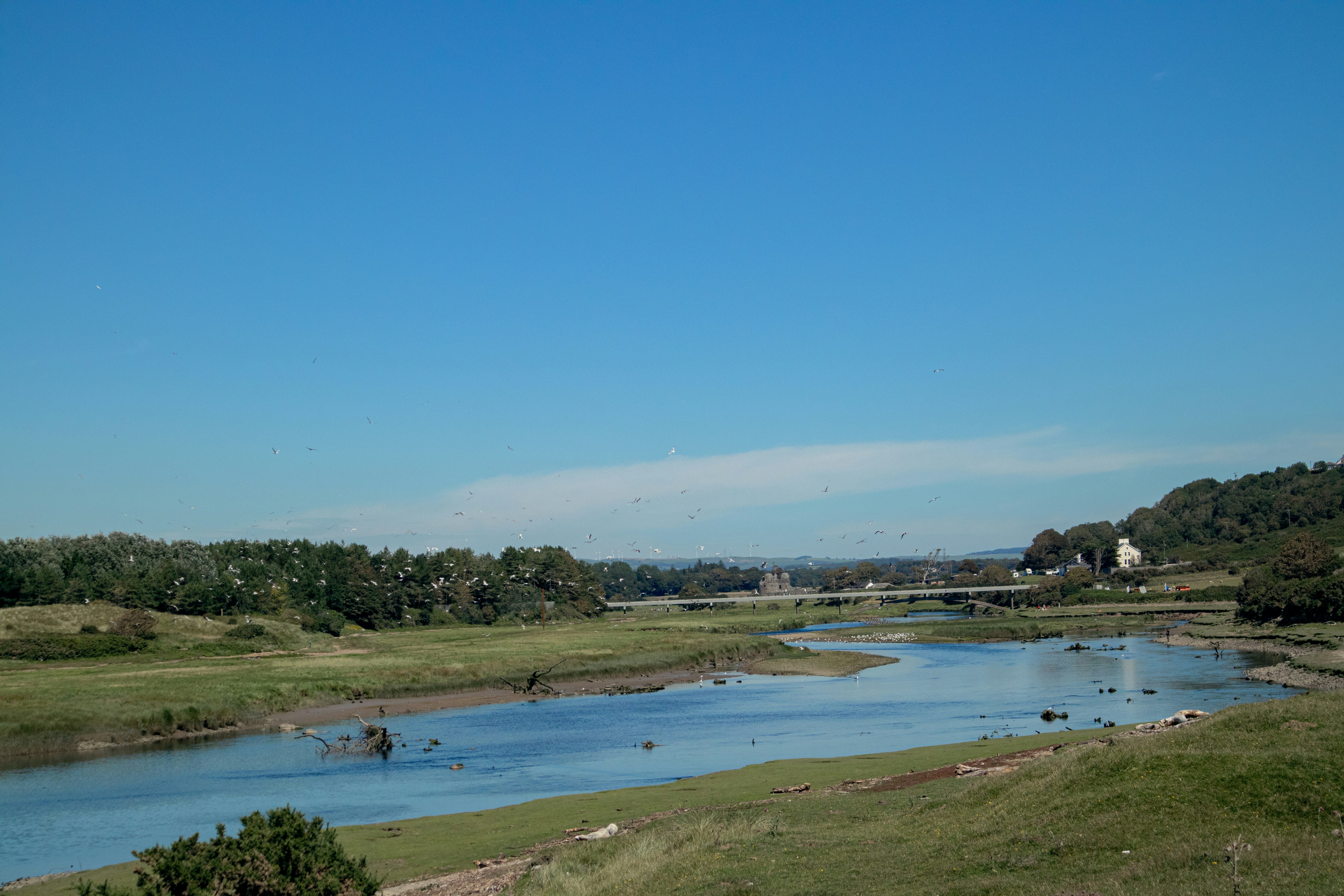 Meandering River Ridge: A Quiet Day on the Green Banks