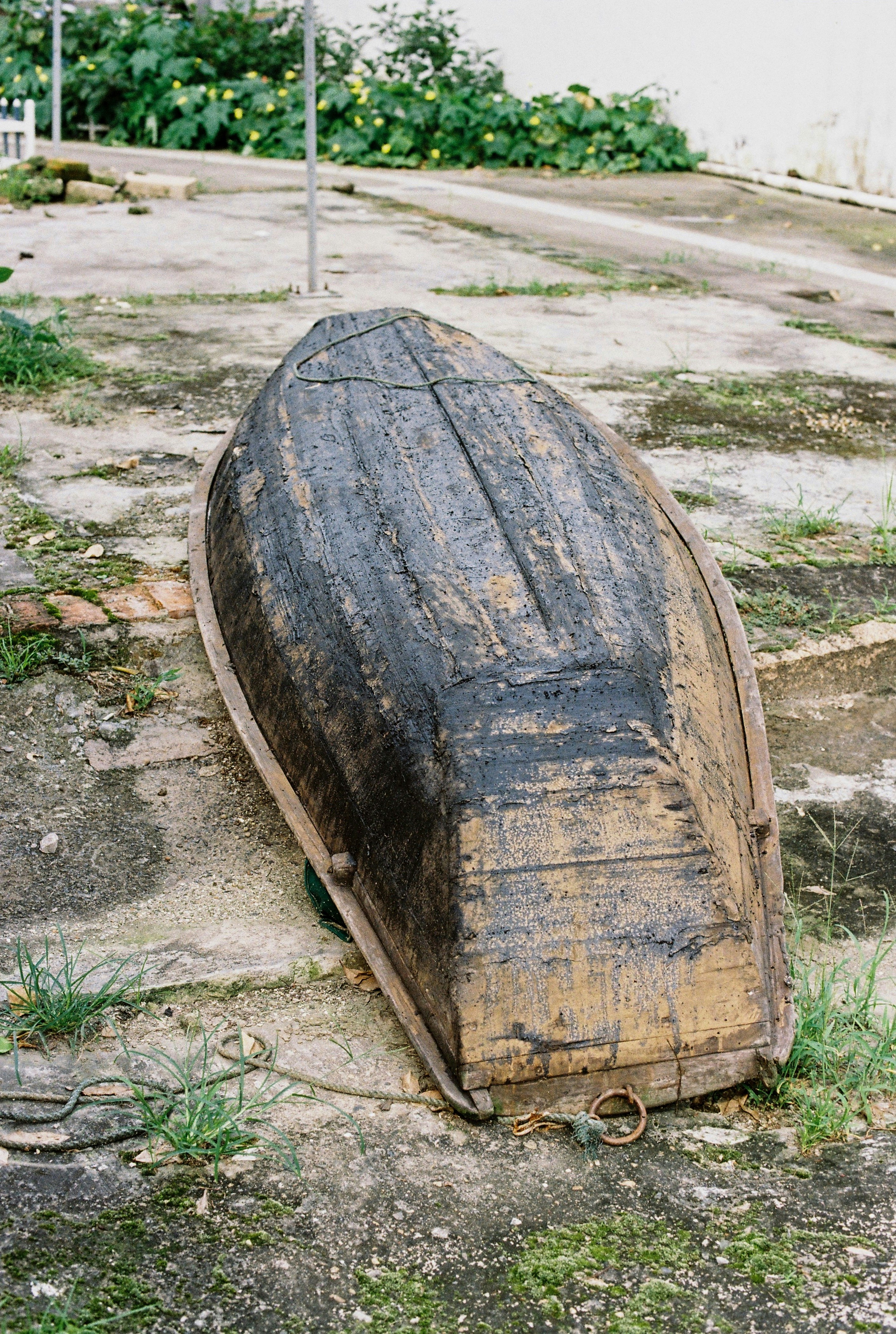 A weathered wooden boat rests on a stone surface, surrounded by patches of green grass and hints of foliage. Its aged texture tells a tale of many journeys.