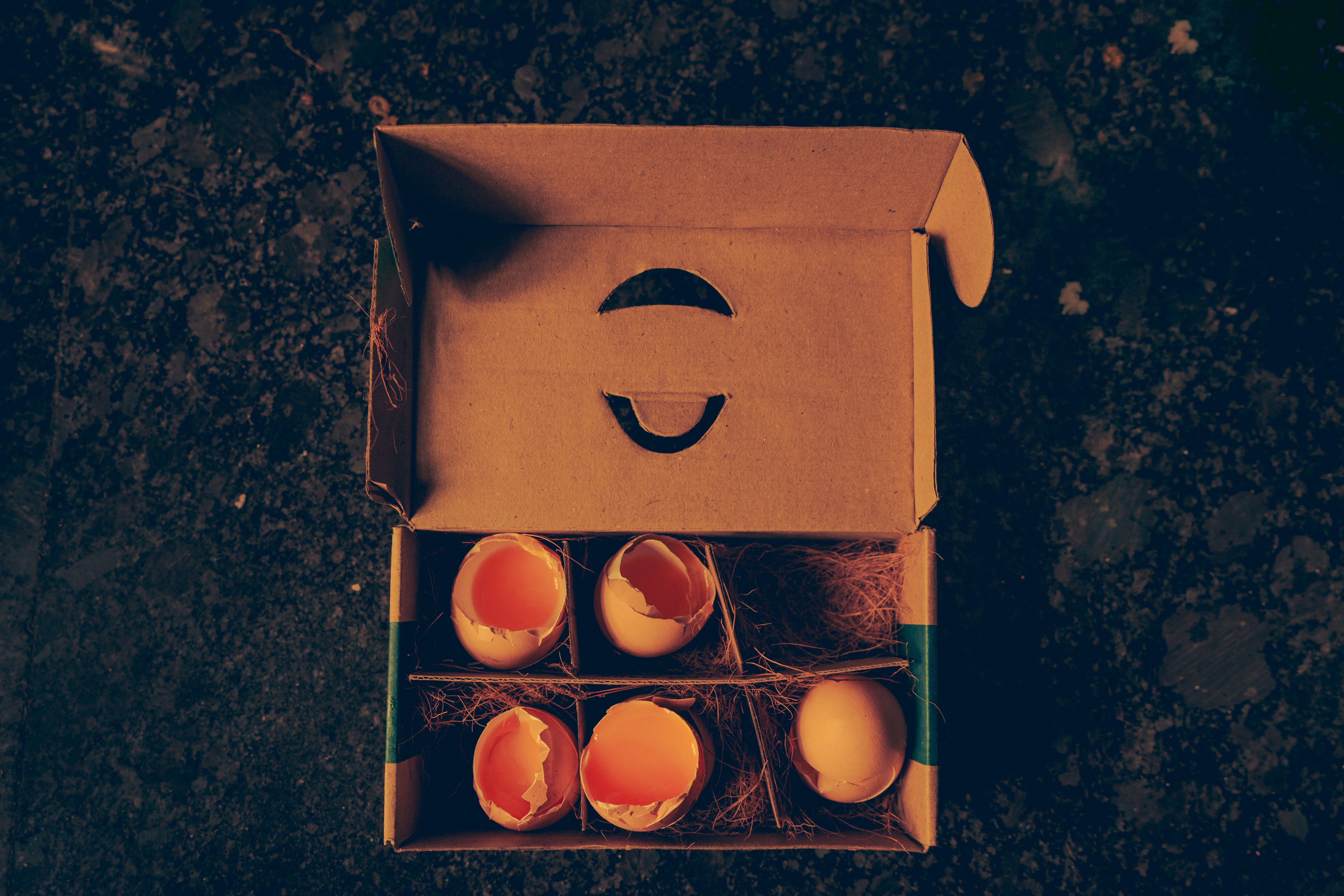 Dusk Light on a Humble Egg Carton: Quiet Geometry and Cracked Shells