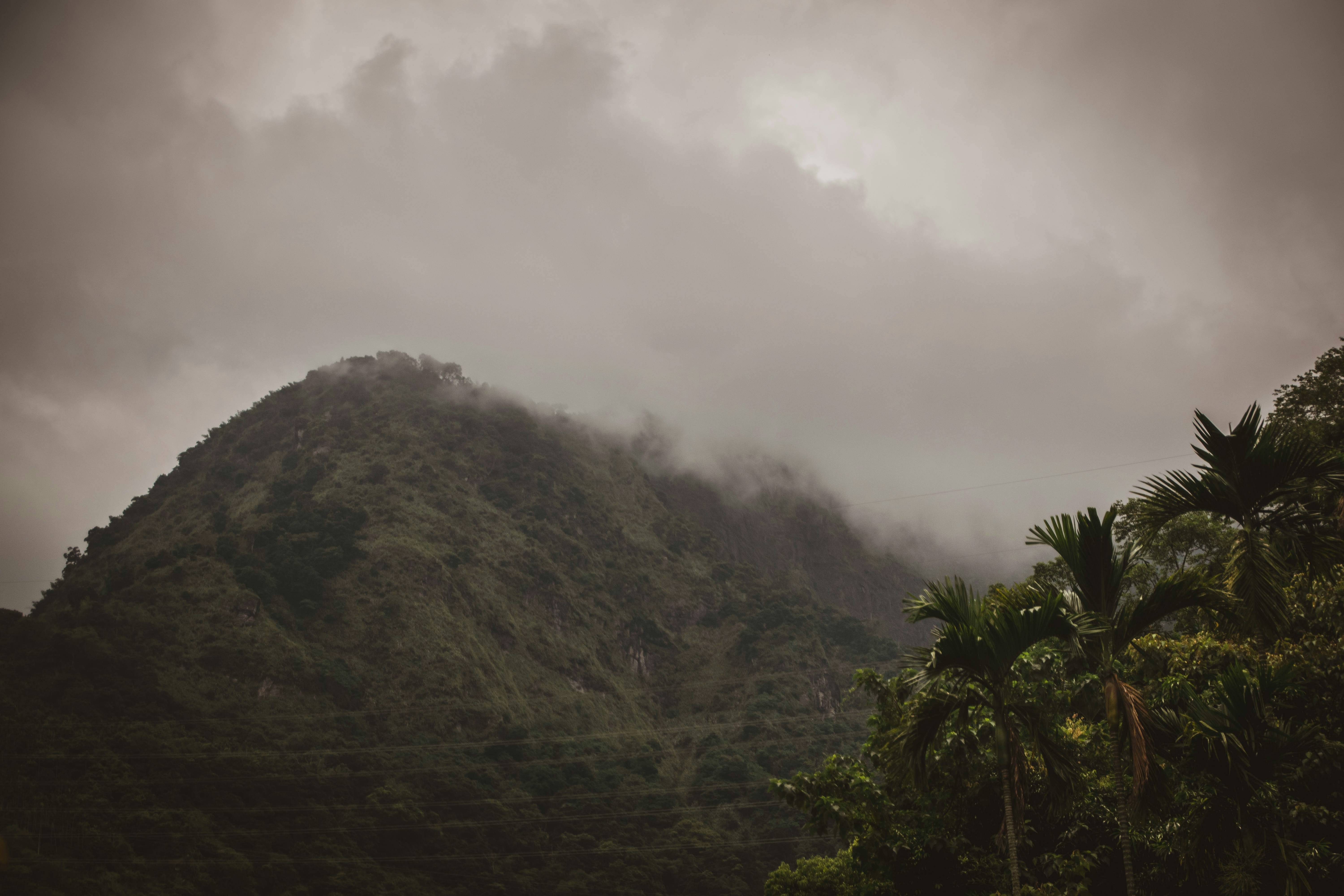 A majestic mountain shrouded in clouds, surrounded by lush tropical vegetation. The scene evokes a sense of mystery and tranquility.
