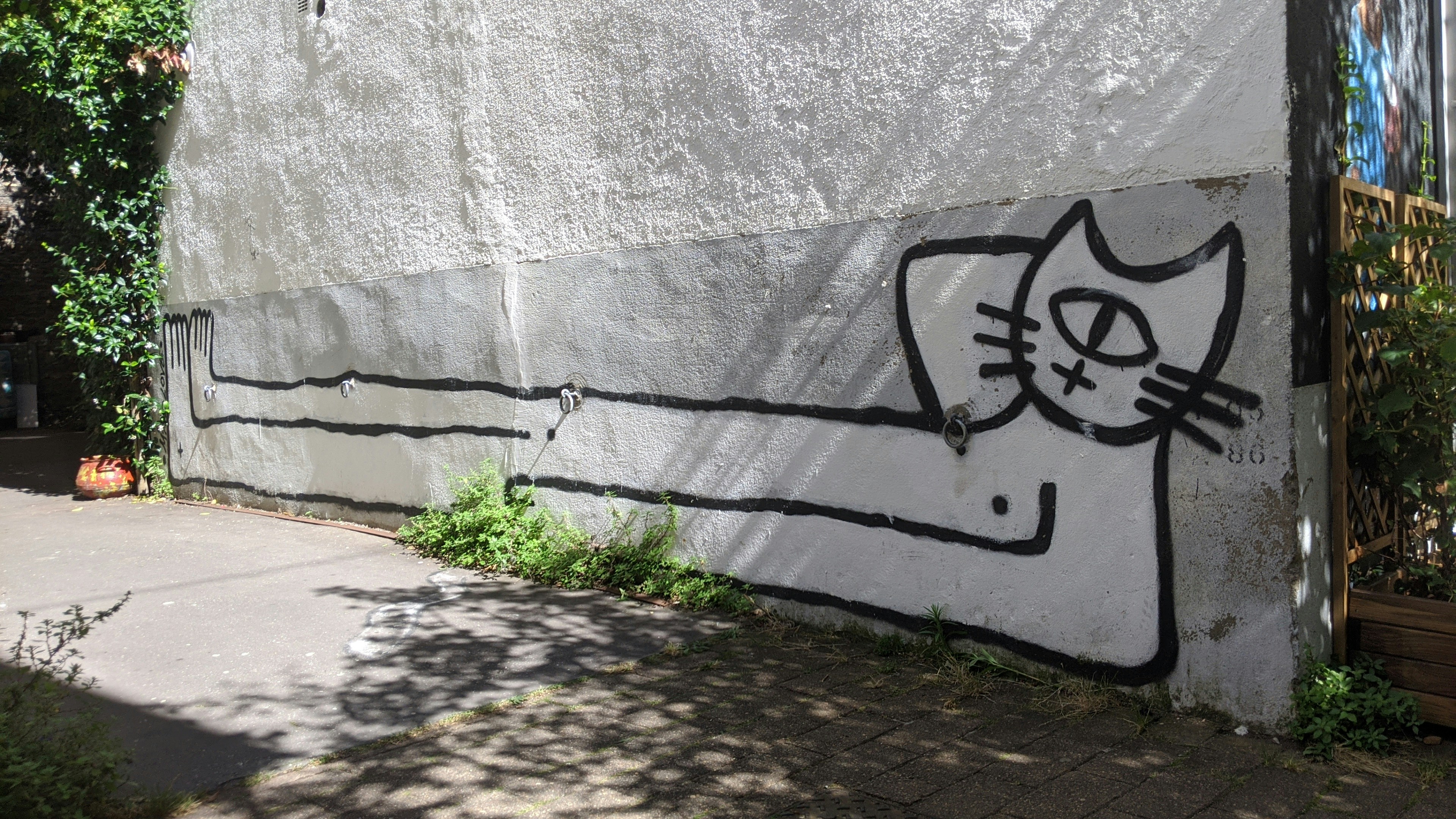 Cartoon cat mural stretches across a sunlit wall, with shadows of leaves creating patterns on the ground.