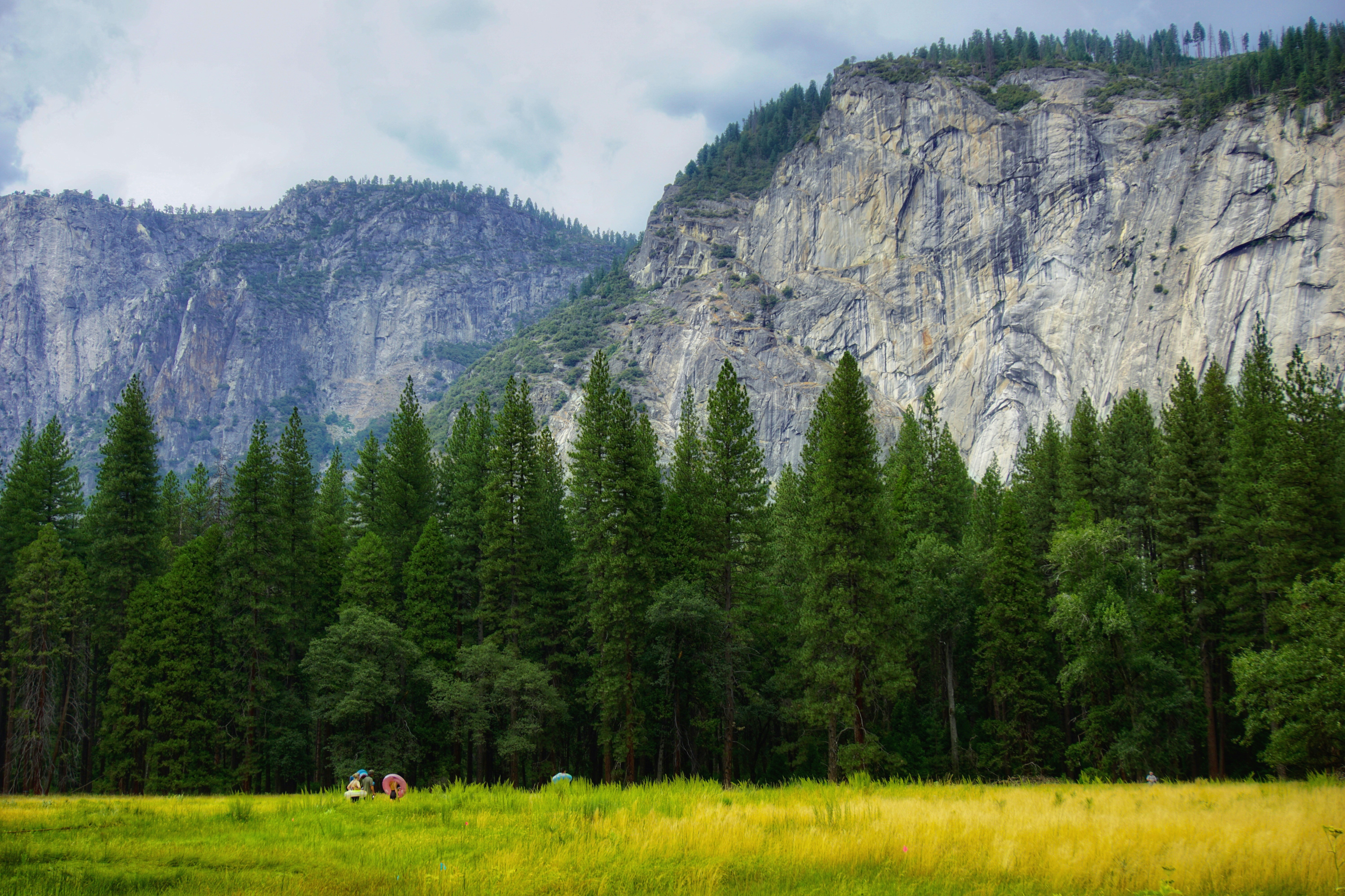 Whispered Meadow Under Granite Giants