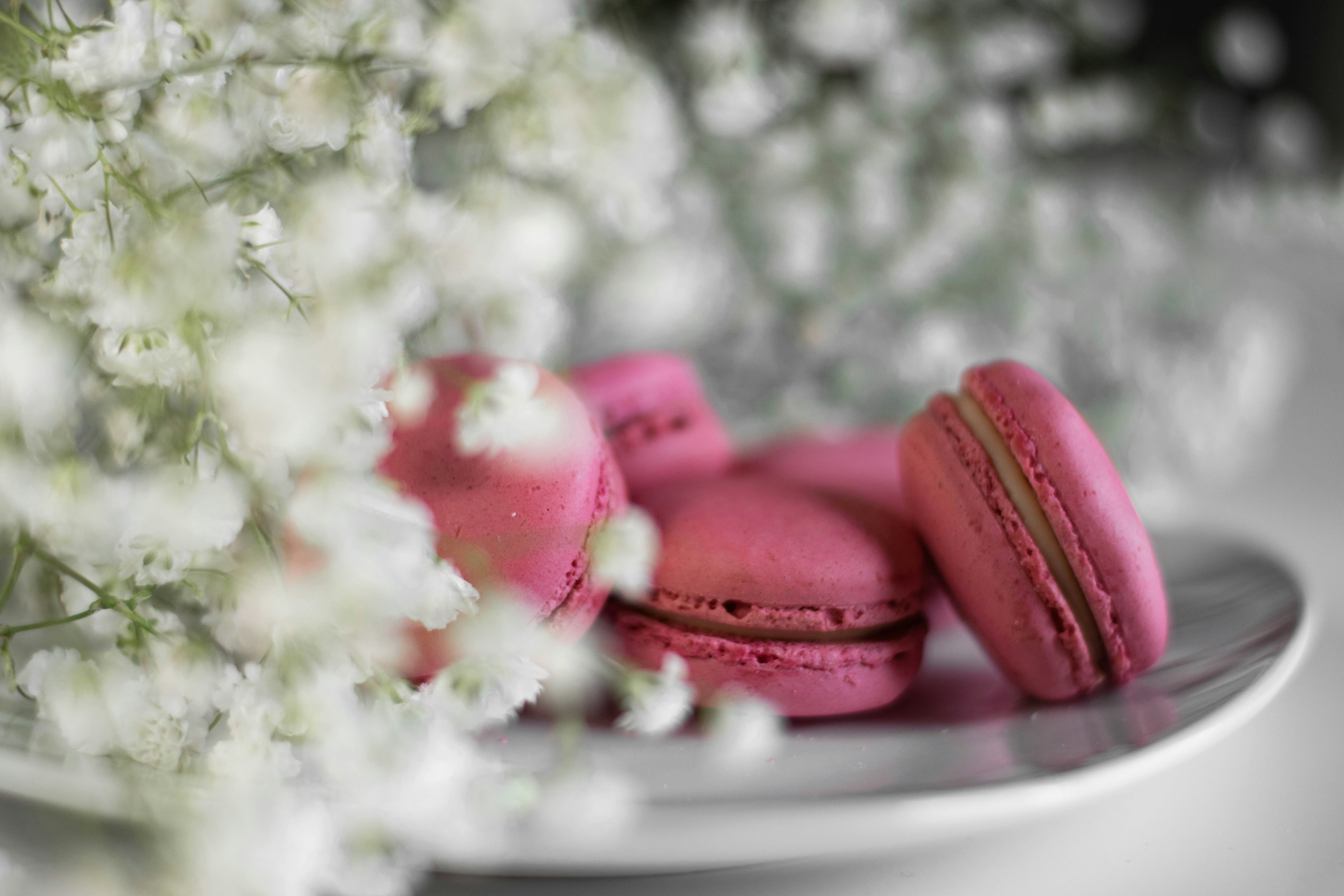 red and white heart shaped candies on white ceramic plate