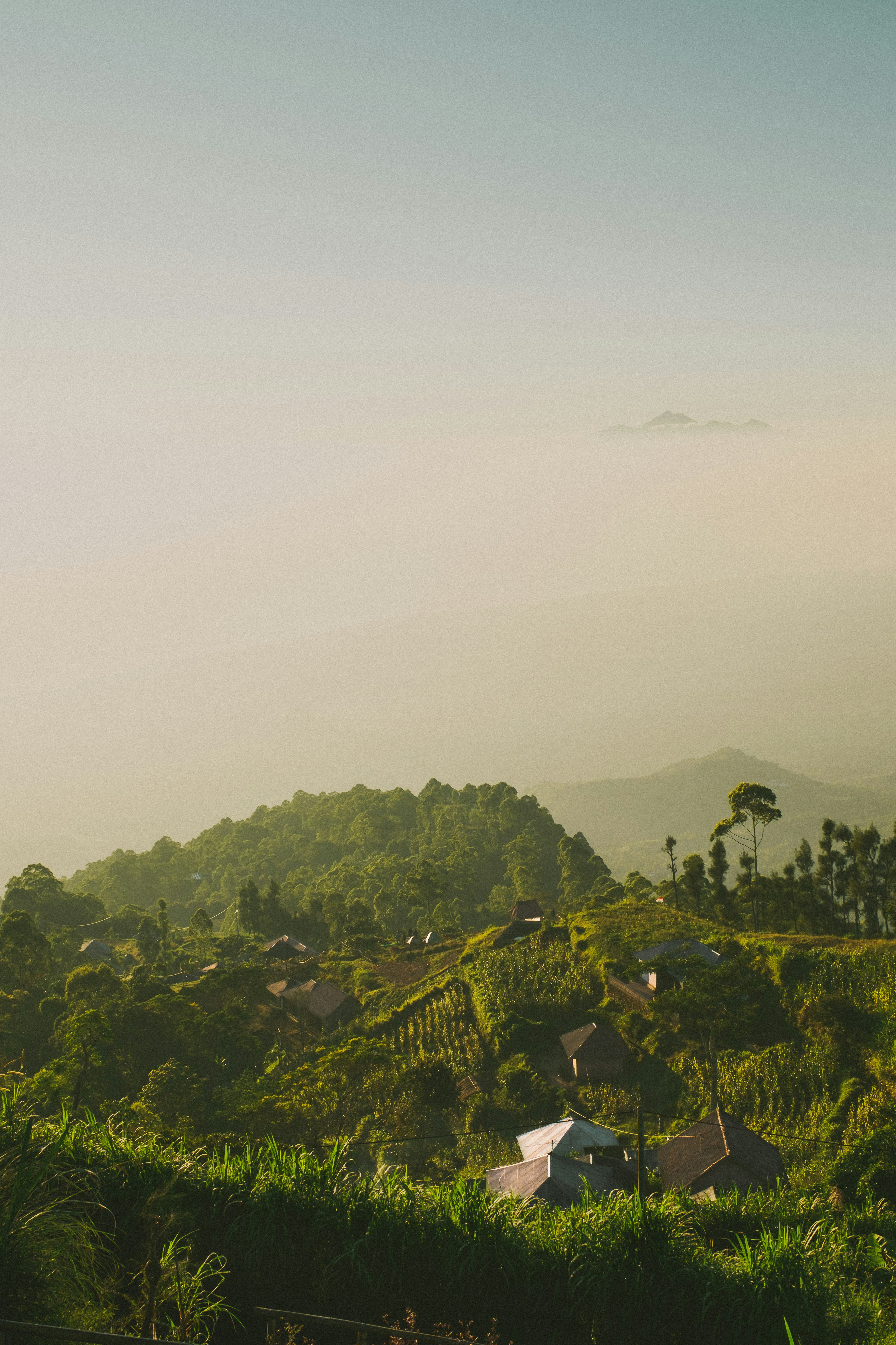 Foto Pepohonan hijau di gunung di bawah langit putih pada siang hari ...