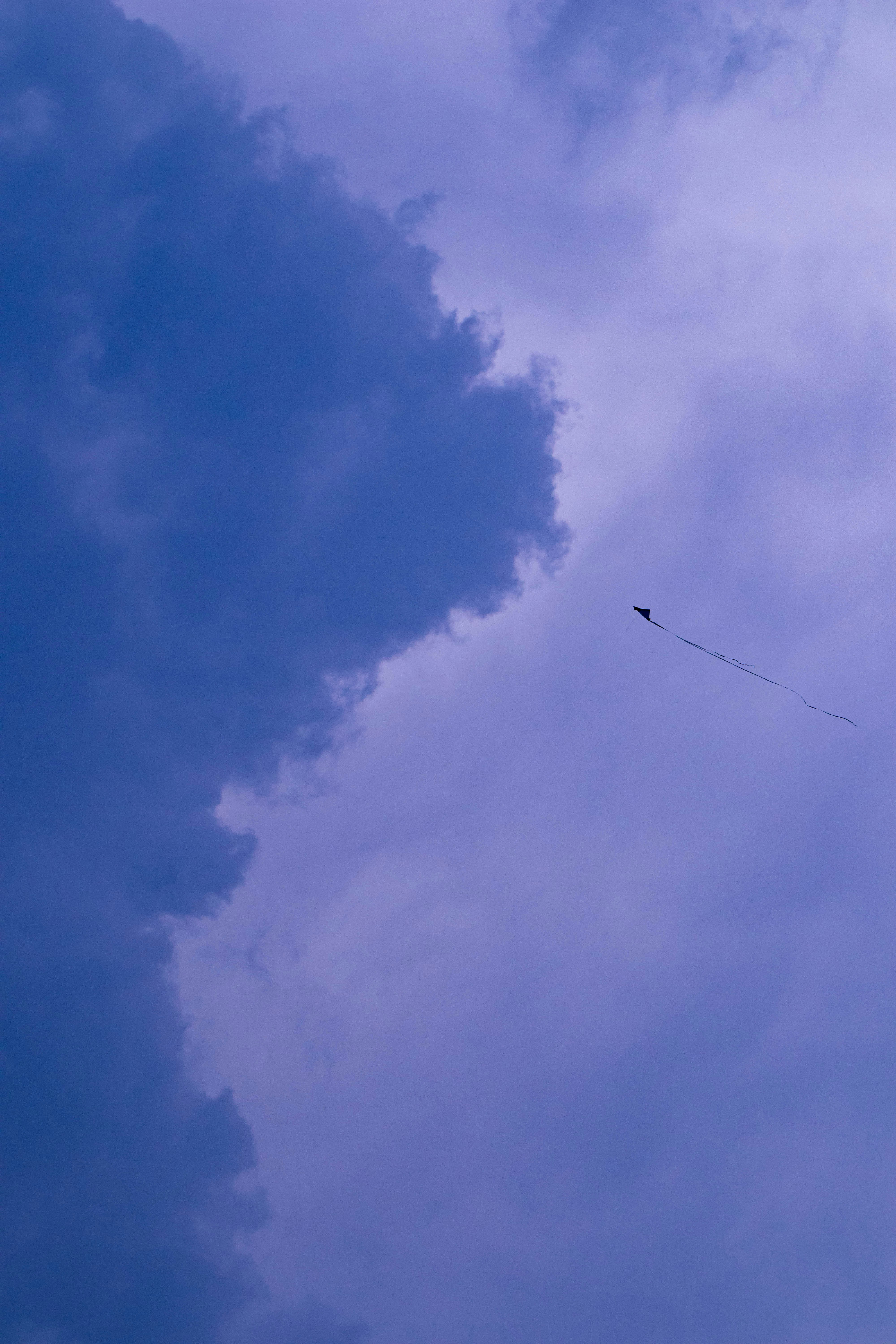 Vinod Choudhary (@vinod_choudhary_084) | Unsplash Photo Community