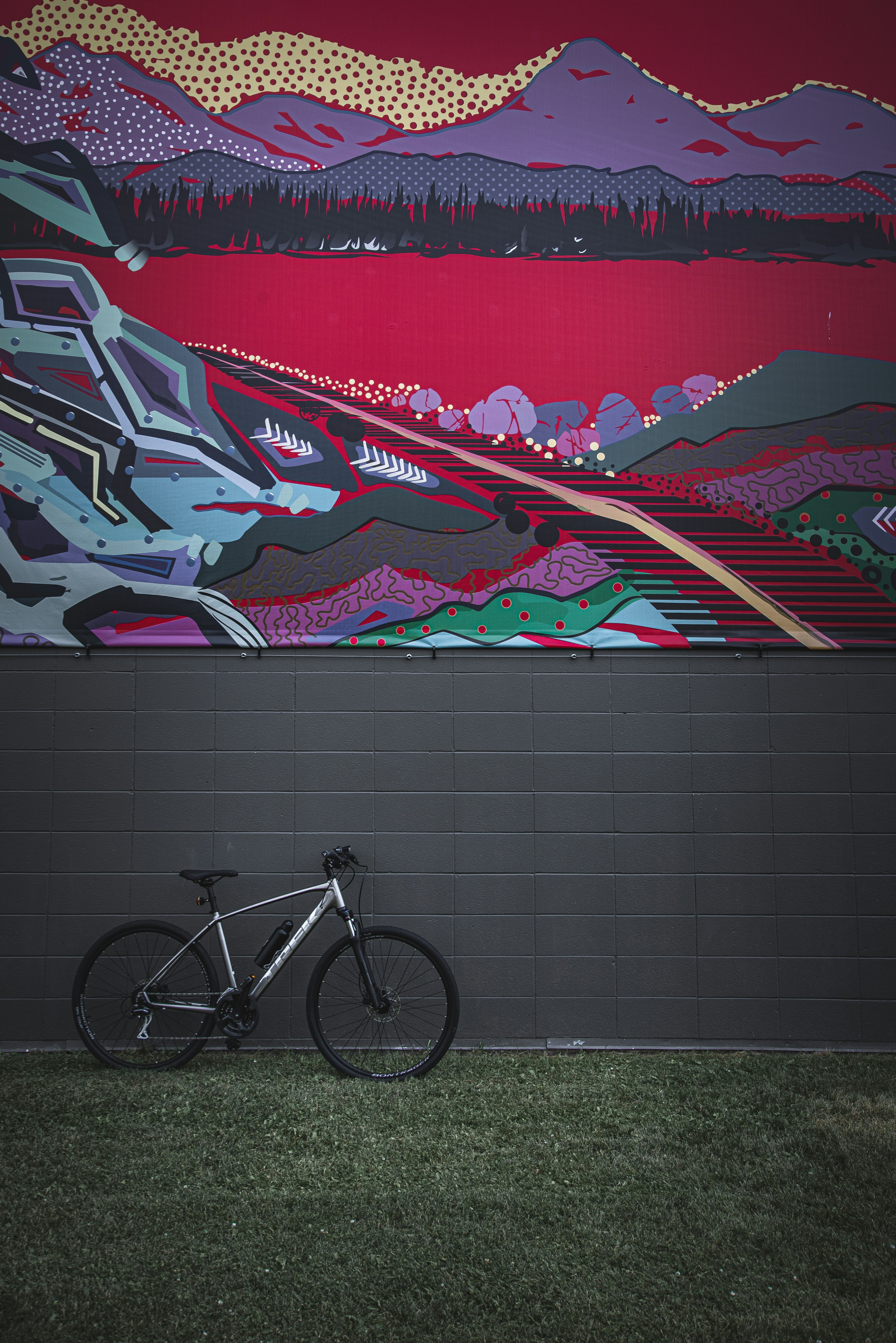 Bike Silhouette Beneath a Riot of Colors
