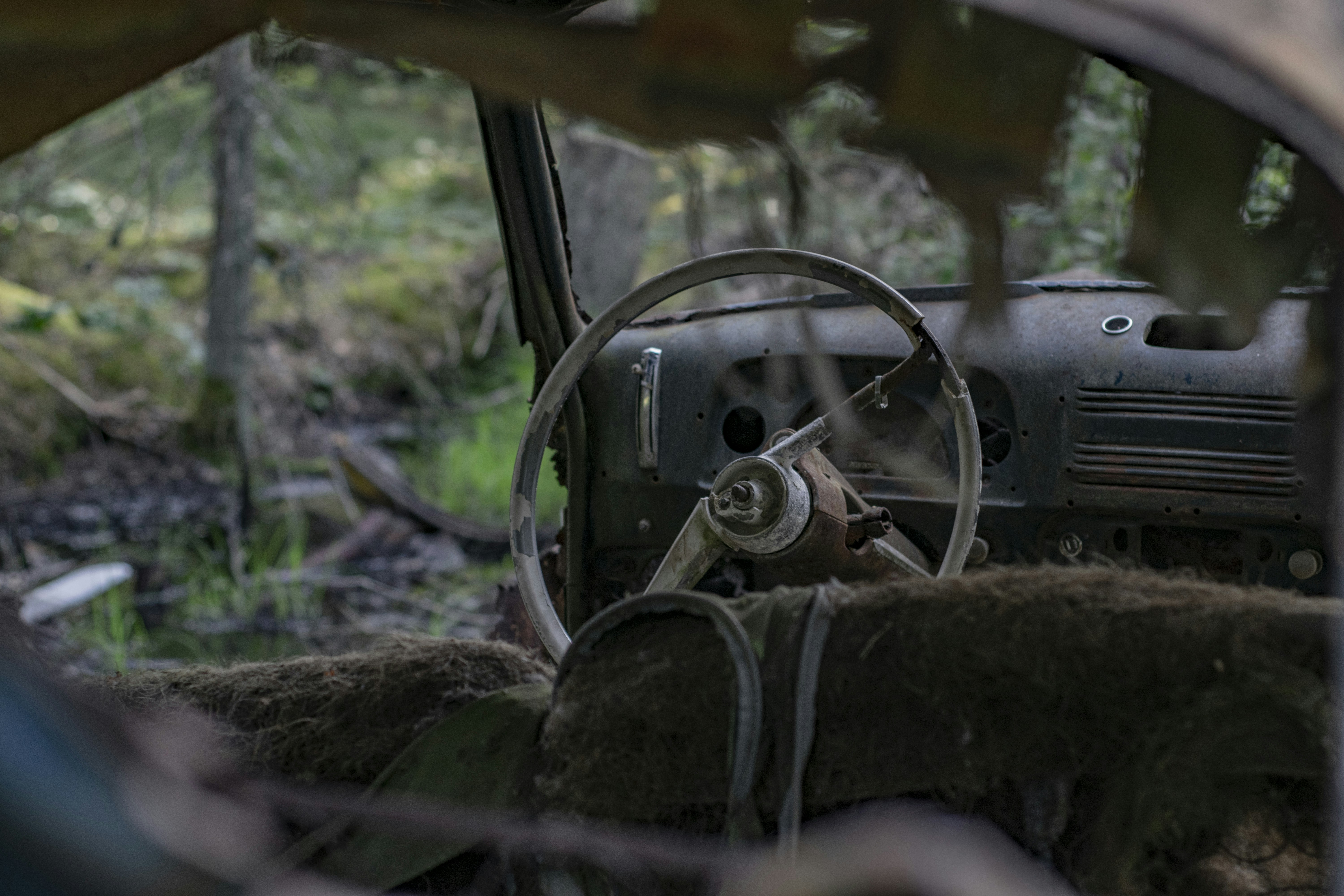 Steering Through Moss: An Abandoned Car Reclaims the Forest