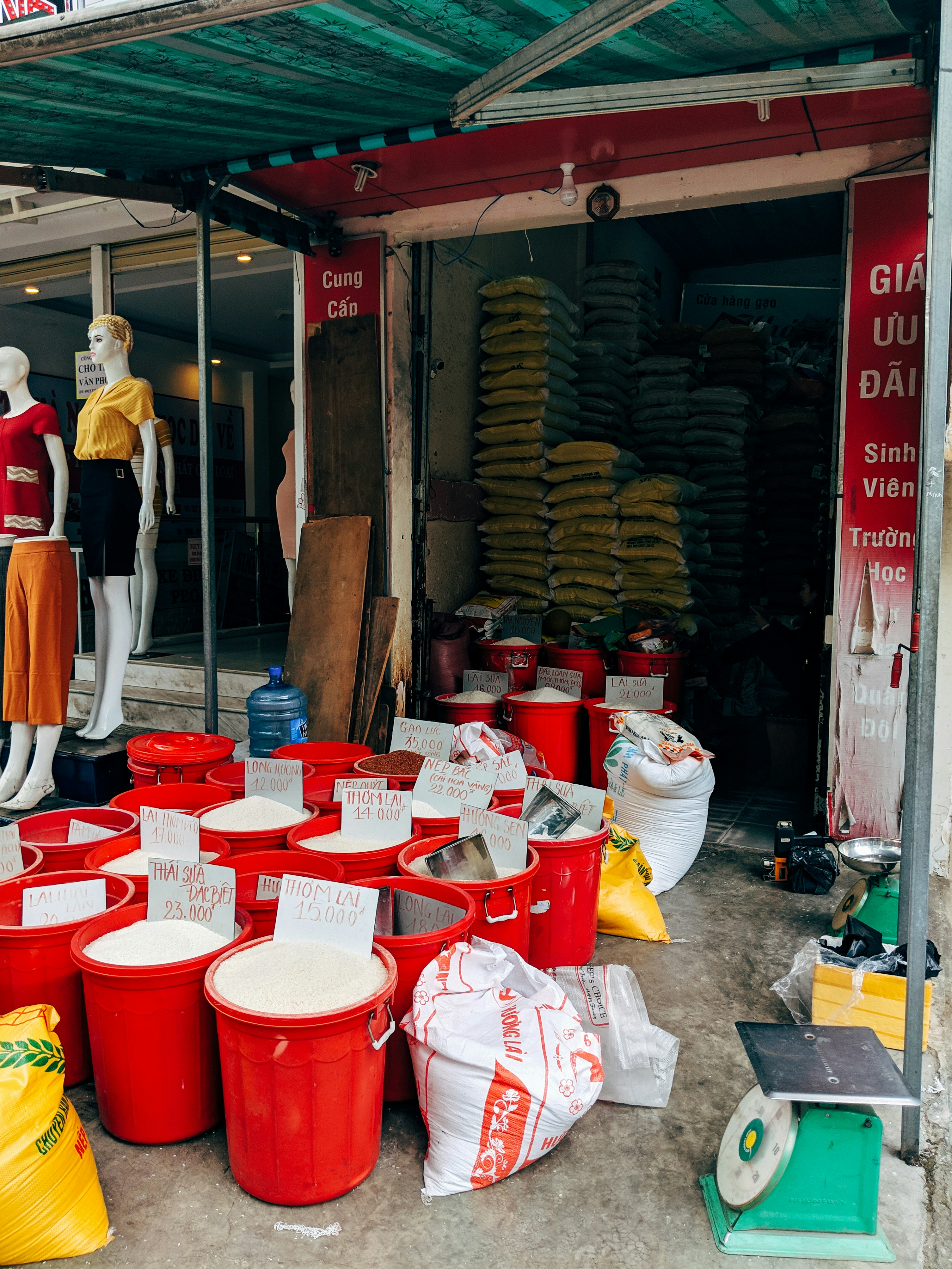 Red Rice Pictures | Download Free Images on Unsplash