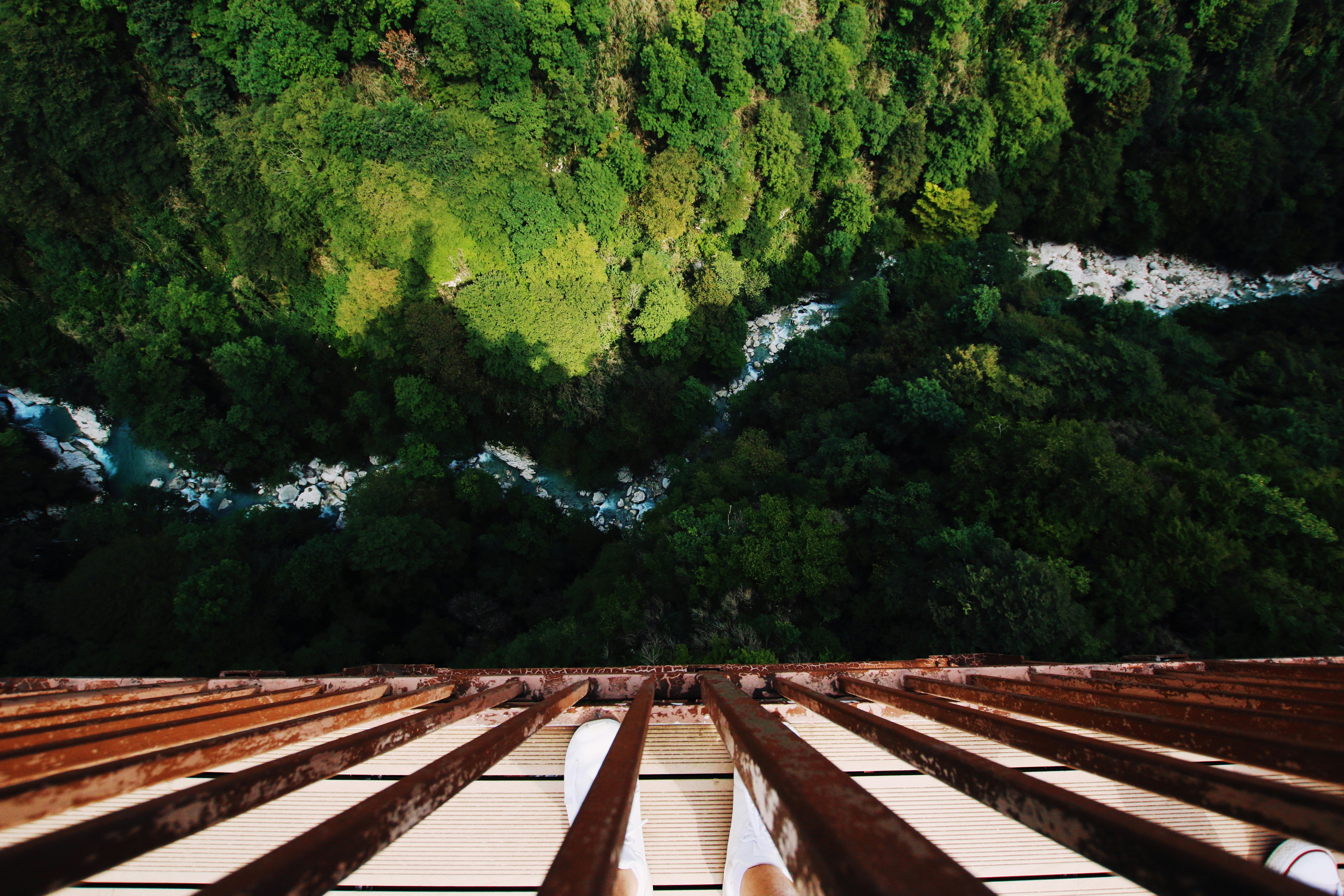 Brown wooden bridge over green trees during daytime photo – Free Top ...