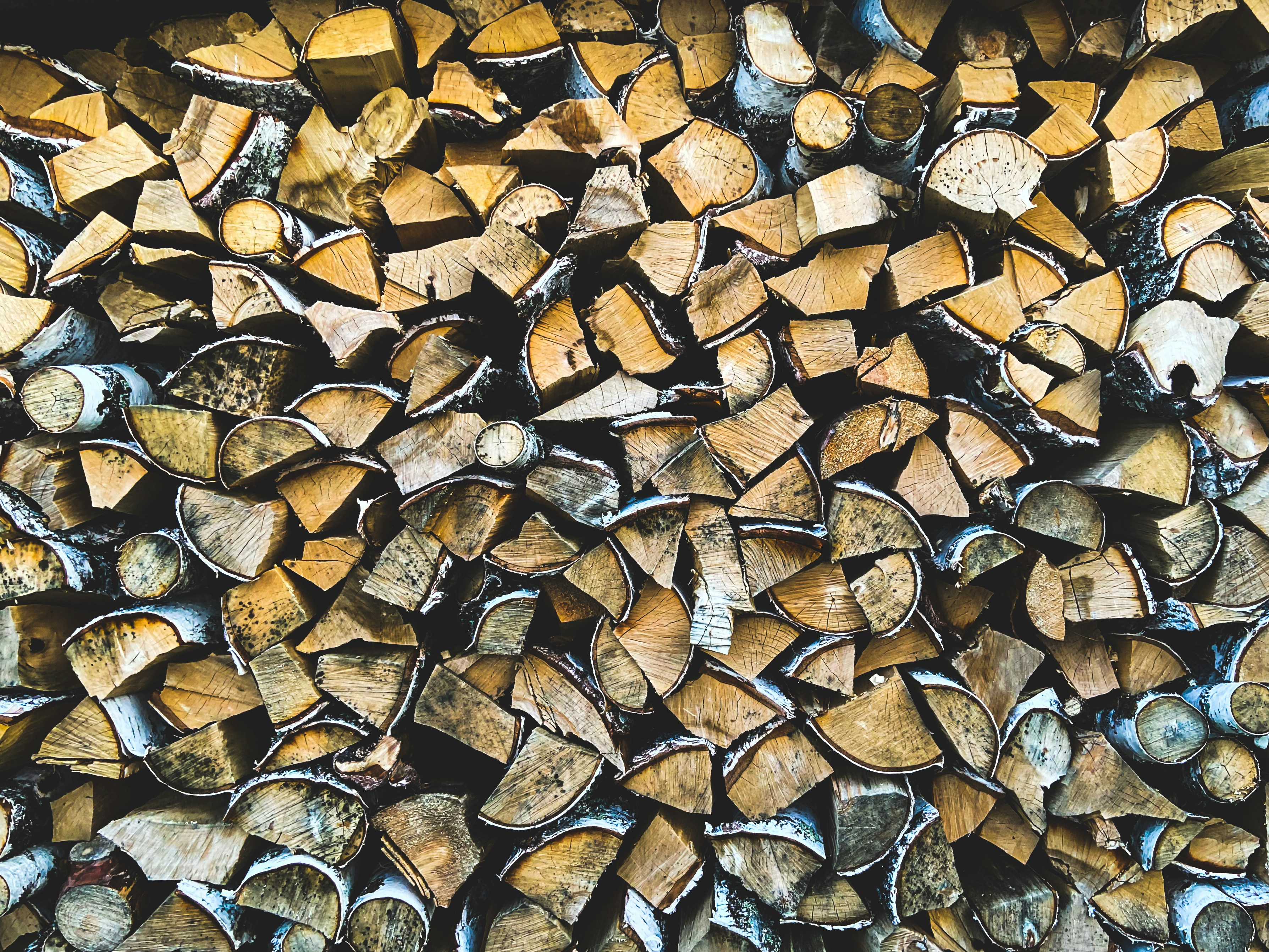brown and gray wood logs
