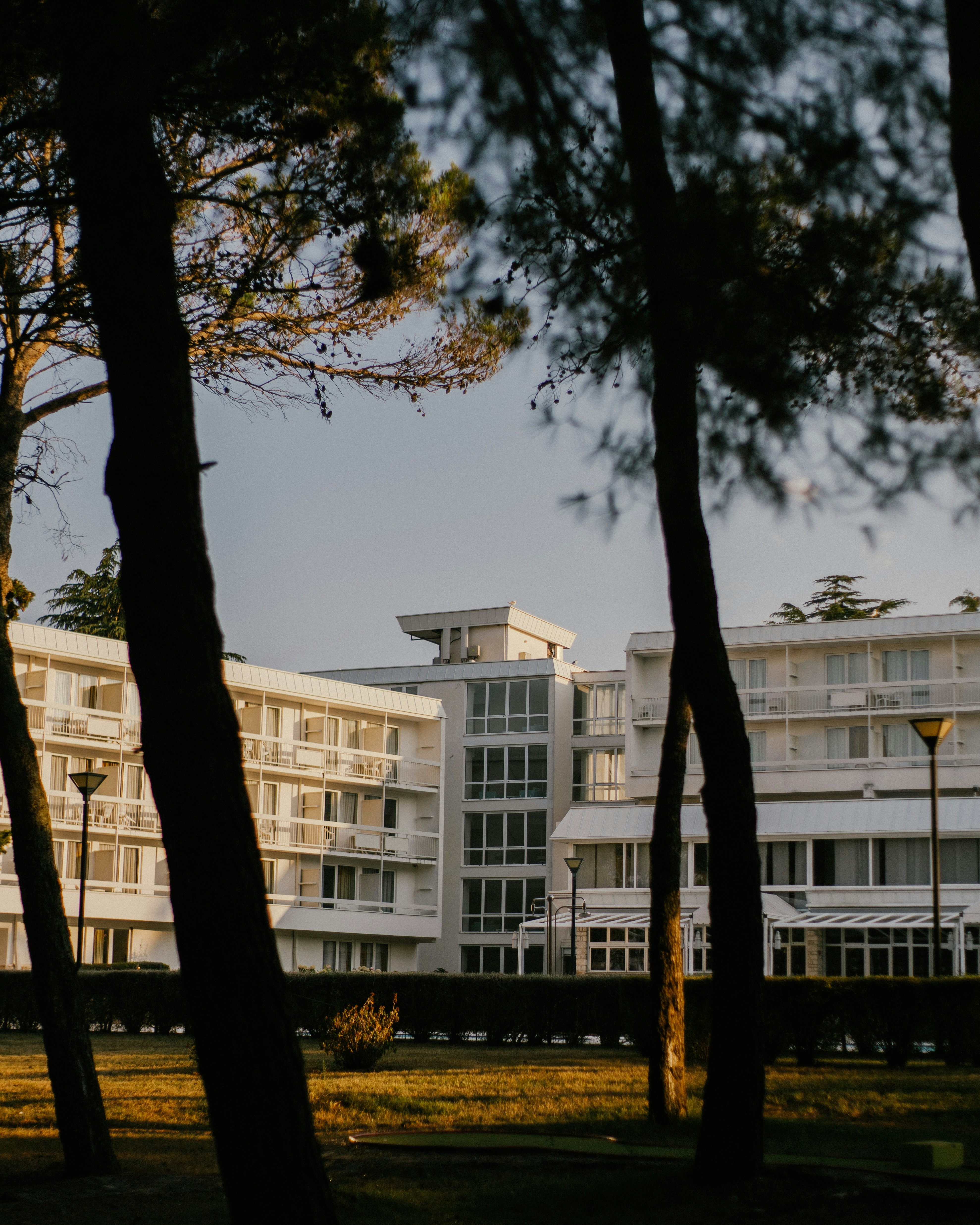 White concrete building near trees during daytime photo – Free Building ...