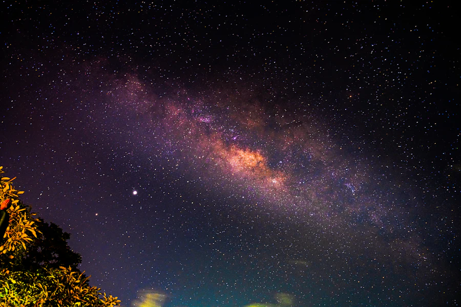 A glowing band of the Milky Way stretches across a star-filled night sky above silhouetted foliage. Warm orange and magenta tones brighten the galactic core.