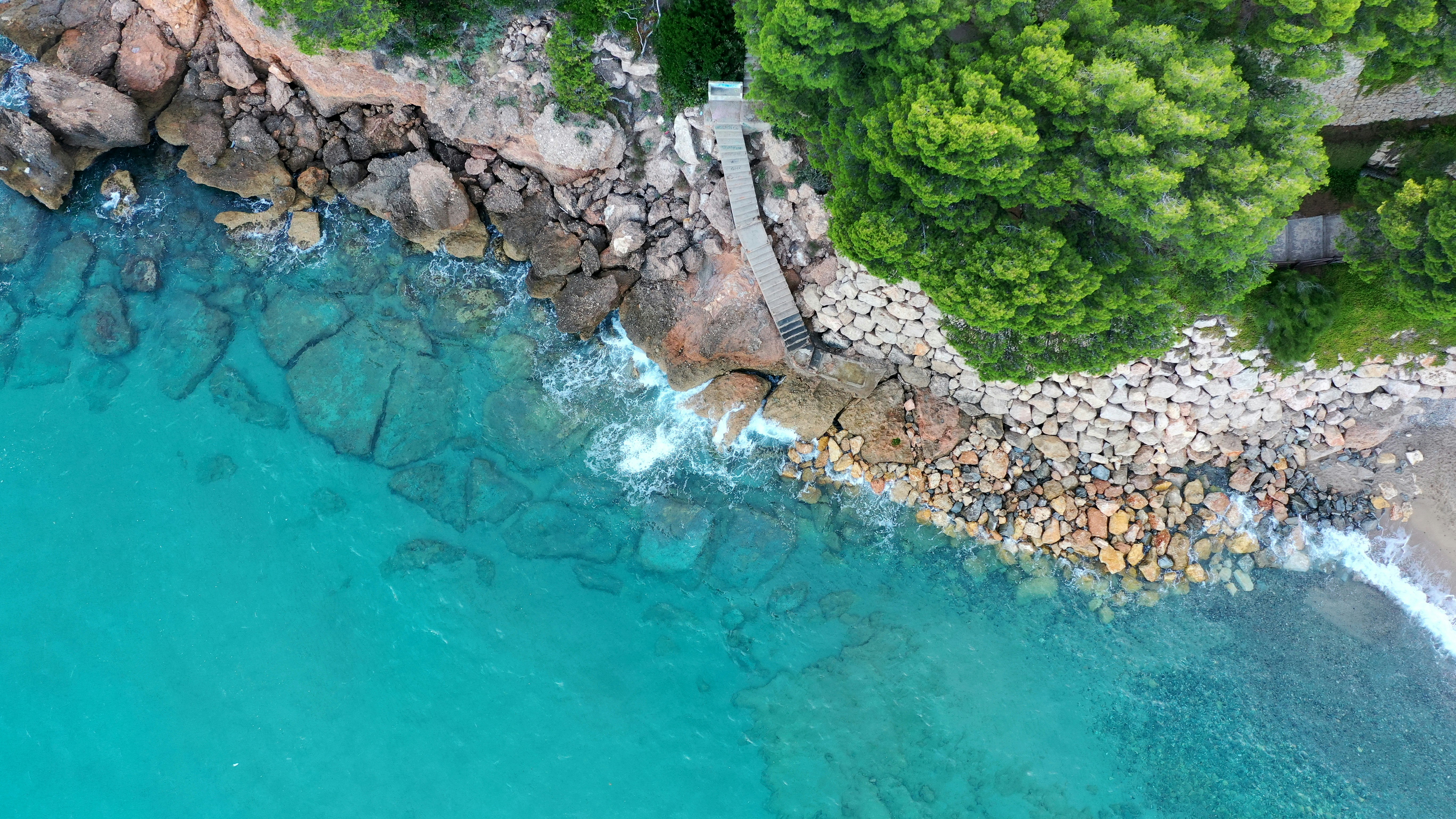 Rocky shoreline meeting vibrant turquoise waters with lush green trees above.