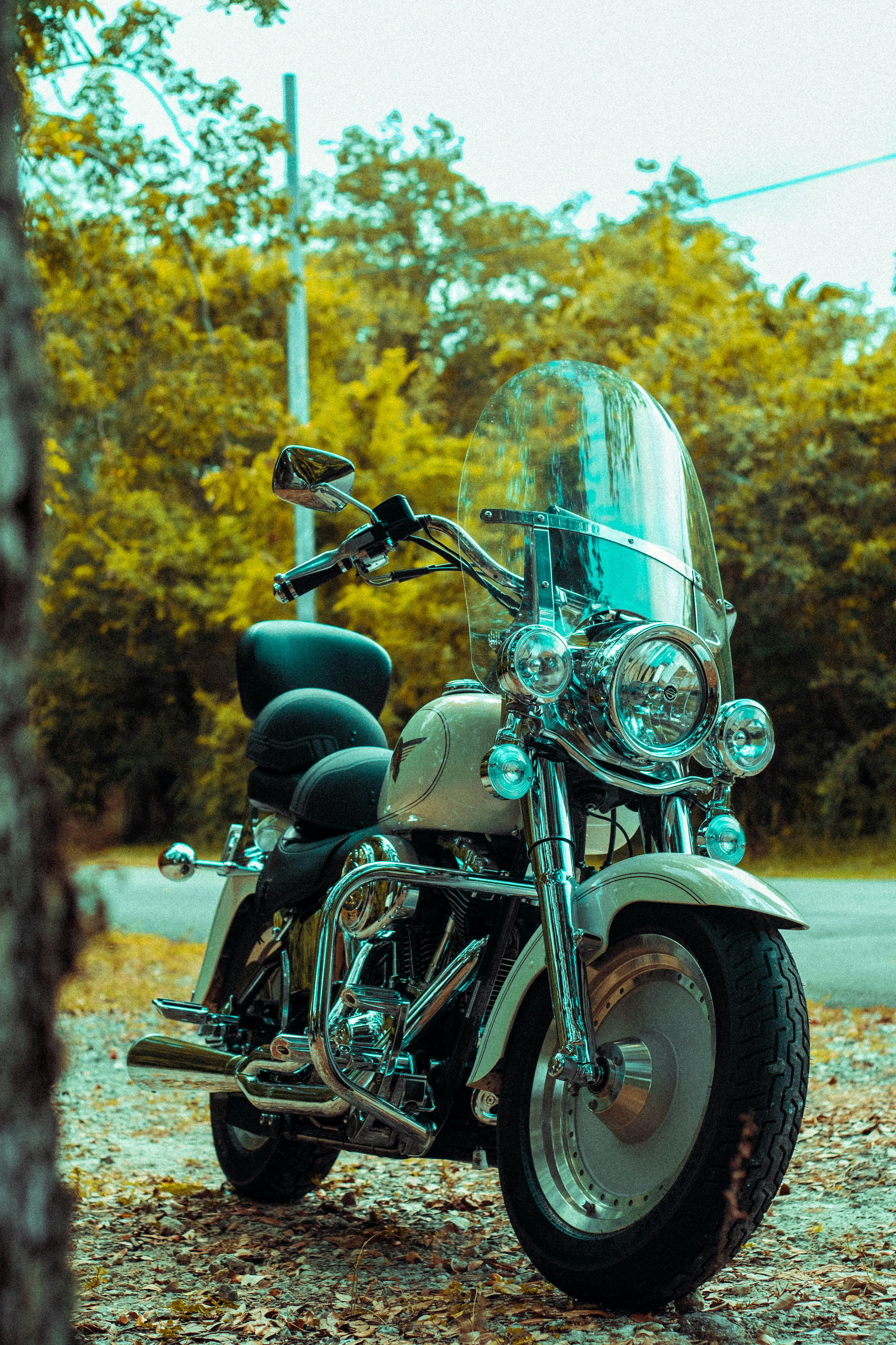 Chrome Cruiser Under Autumn Light: A Quiet Portrait by the Road