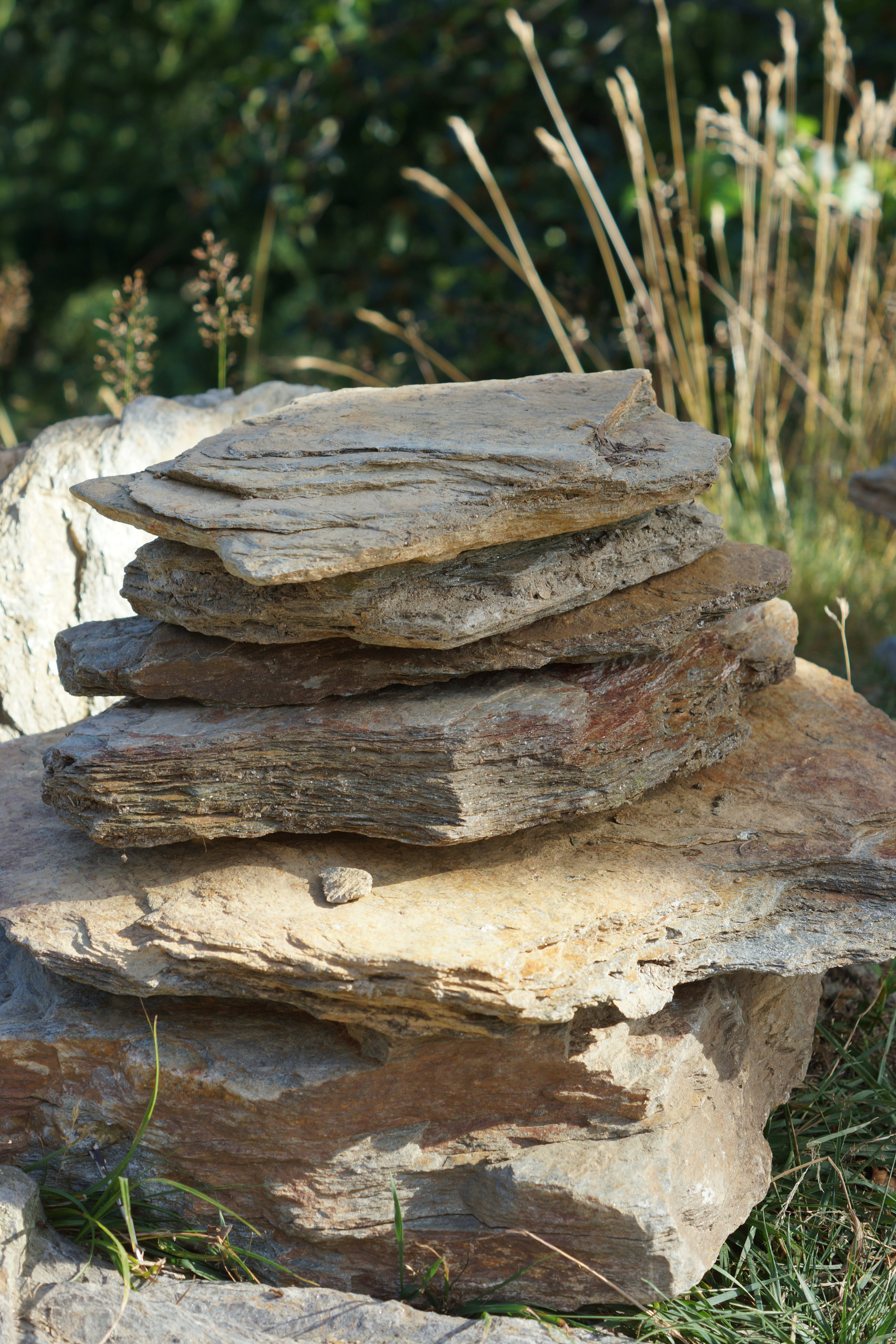 Sample photo from Sony Alpha A65