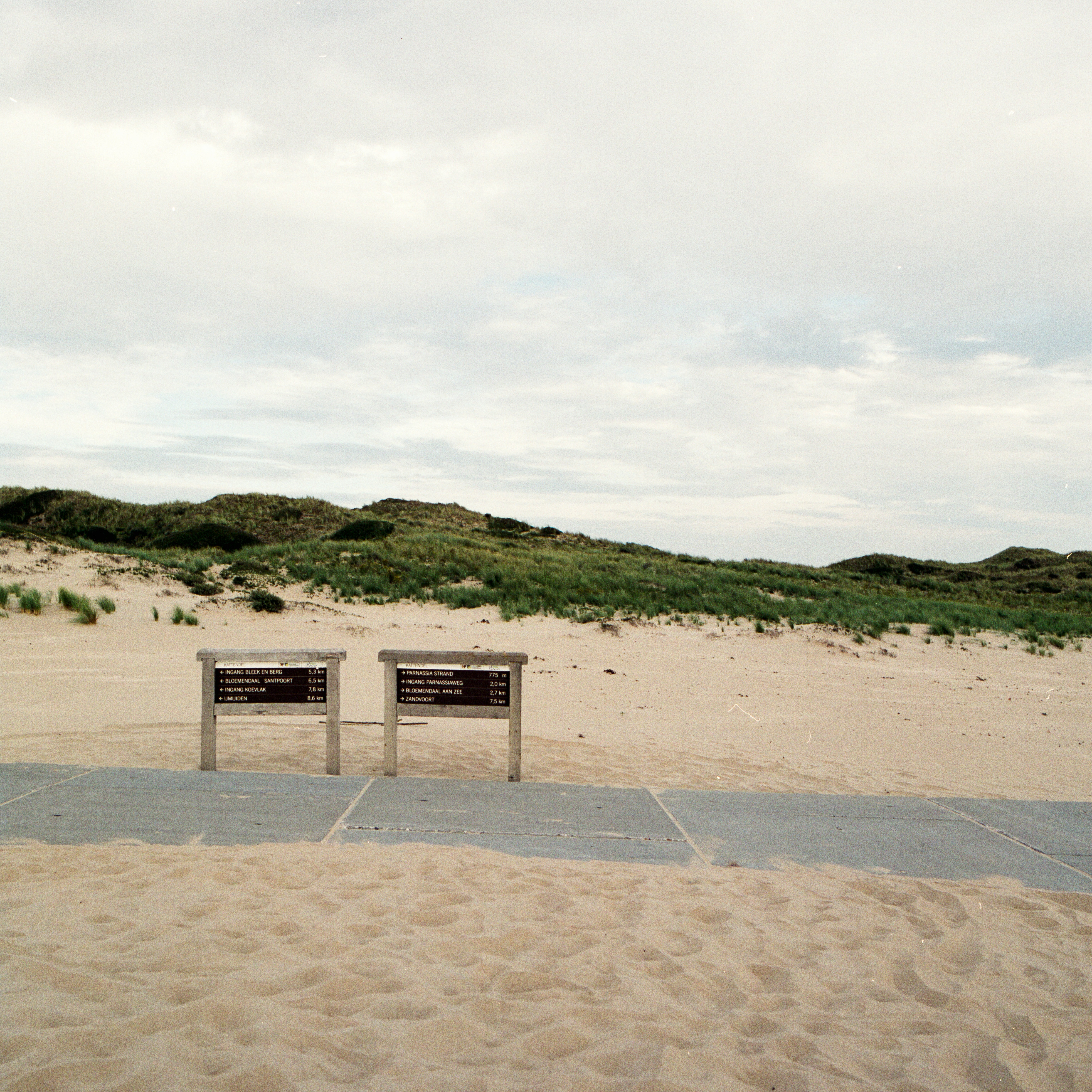 Two signboards sit on a paved path at the edge of a sandy dune beach, with low grasses and a cloudy sky.
