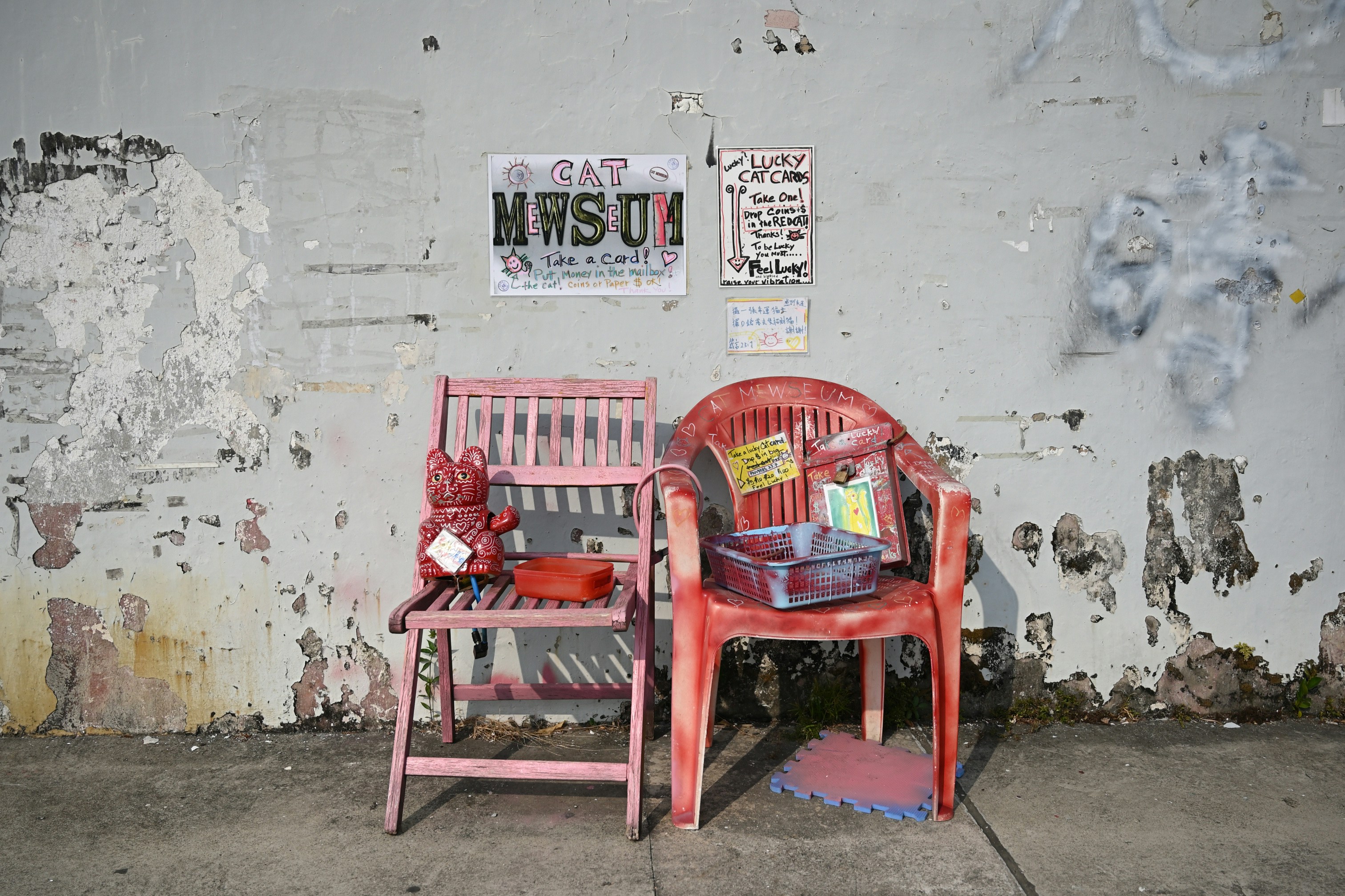 Fragile Seats Against a Weathered Wall