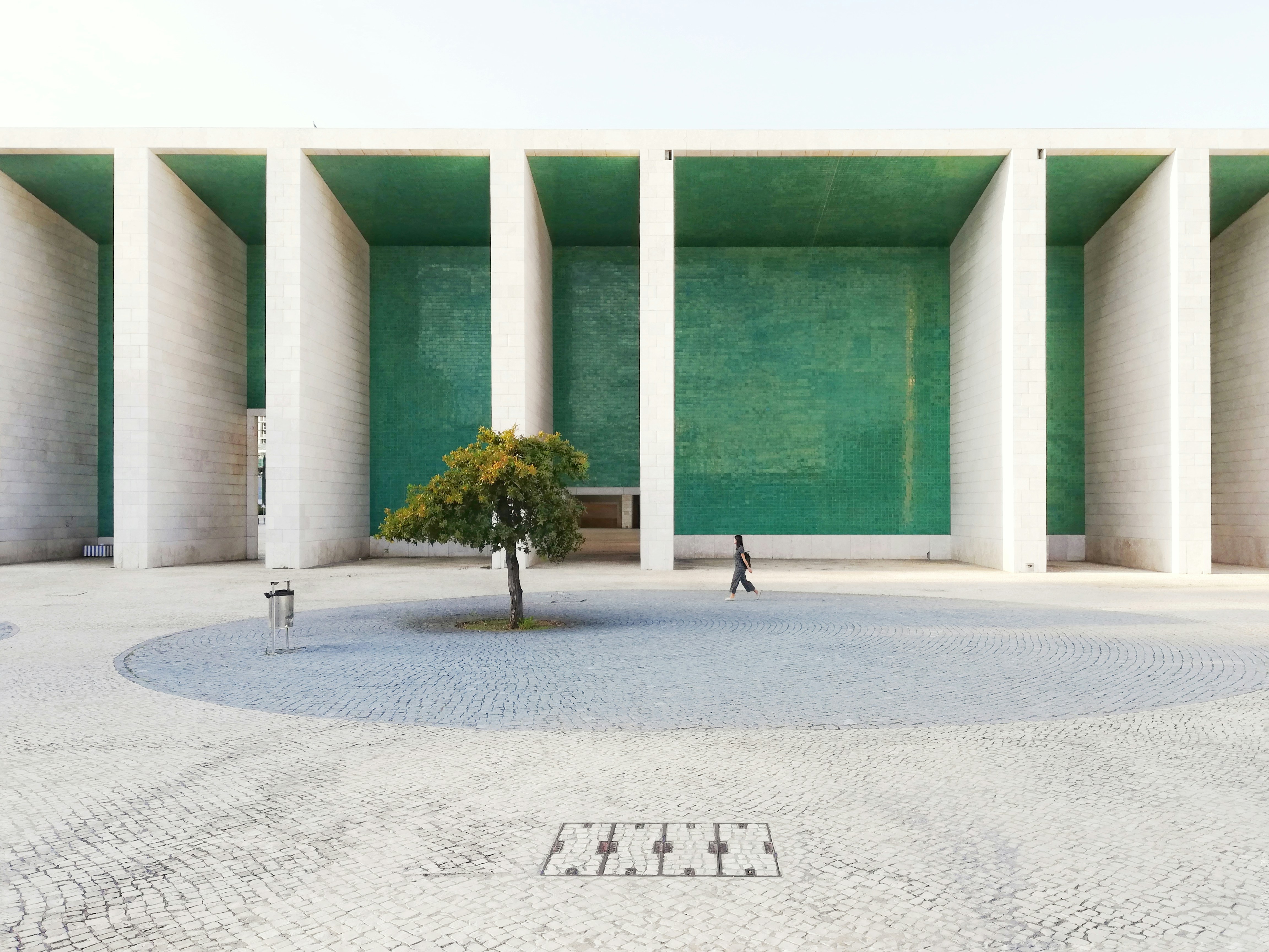 A solitary tree stands in a circular plaza surrounded by striking green and white architectural elements, emphasizing the contrast between organic and structured forms.
