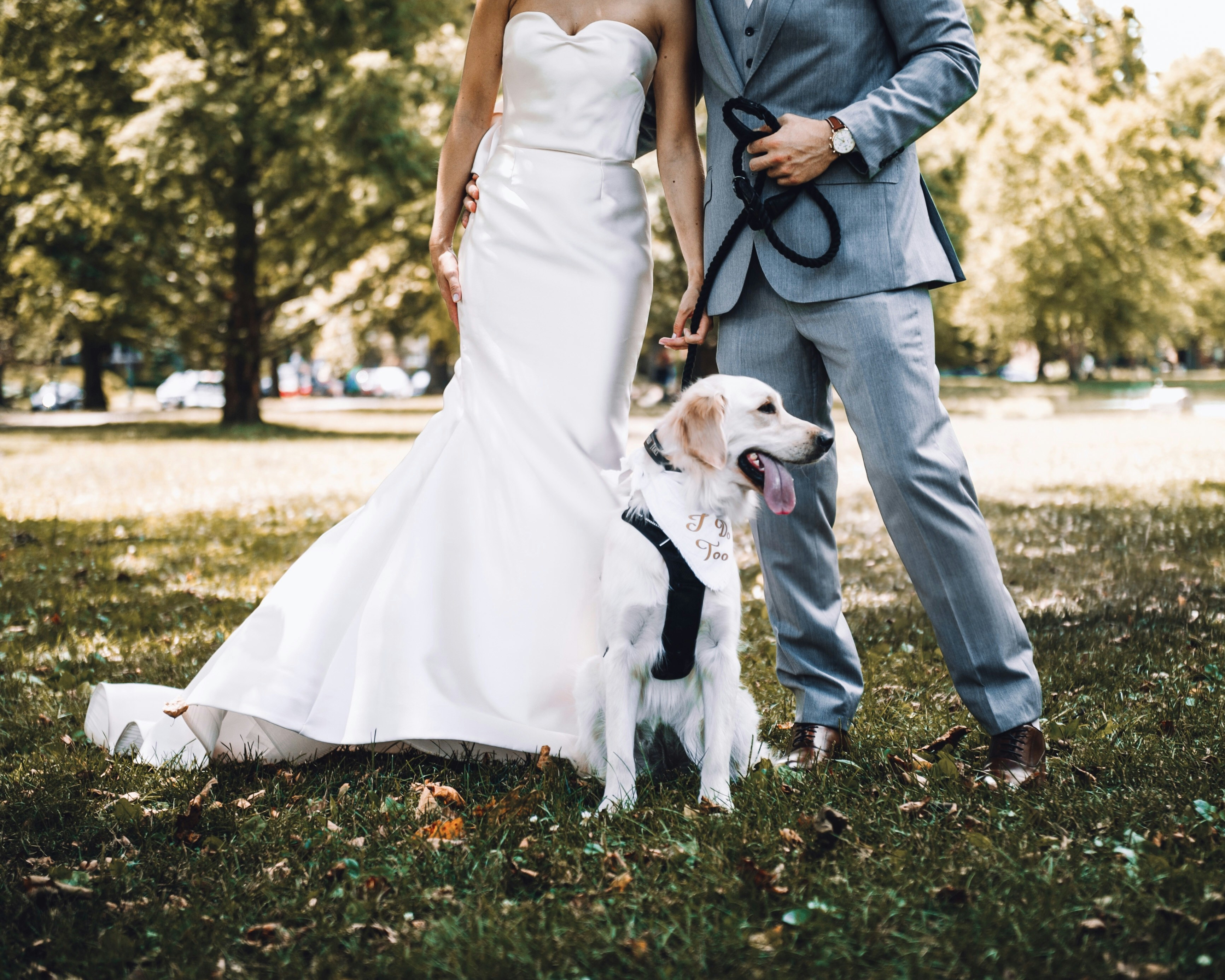 Wedding photograph in a park featuring a bride in a white gown, a groom in a gray suit, and their white dog wearing a harness. The background is softly blurred to emphasize the trio.