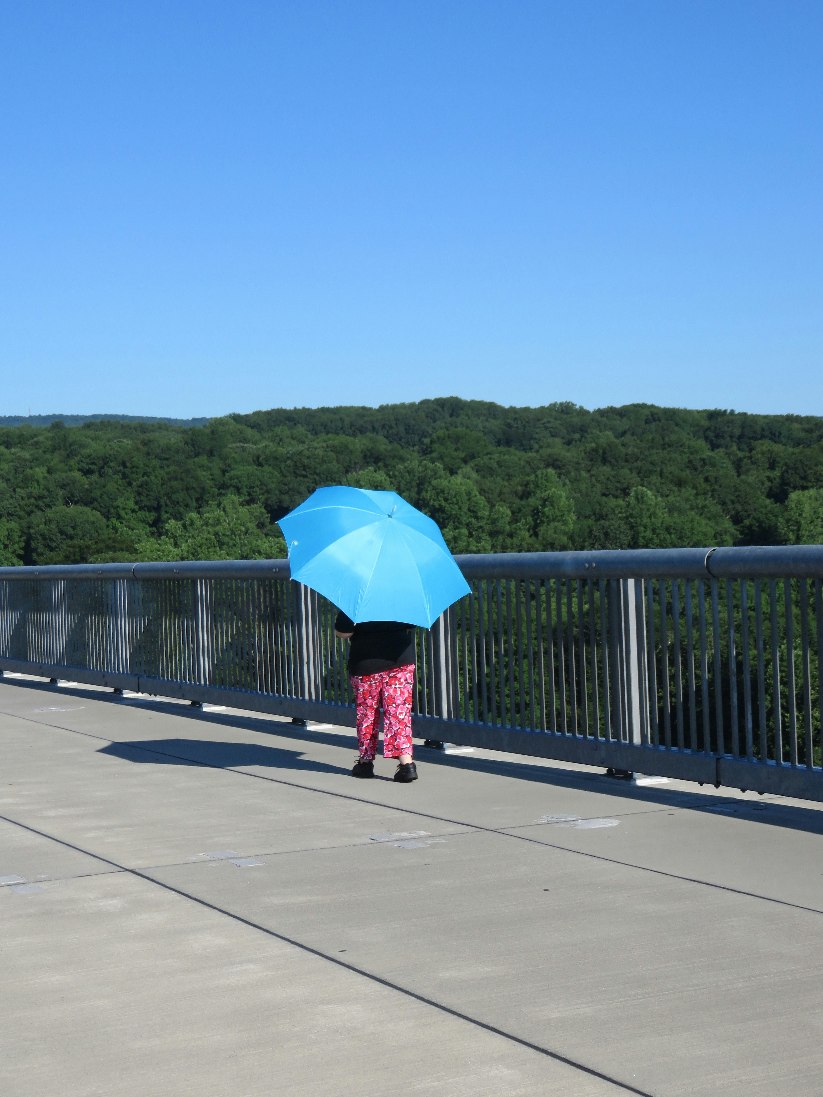 Person holding a bright blue umbrella, standing on a wide pedestrian bridge with lush green forest in the background.