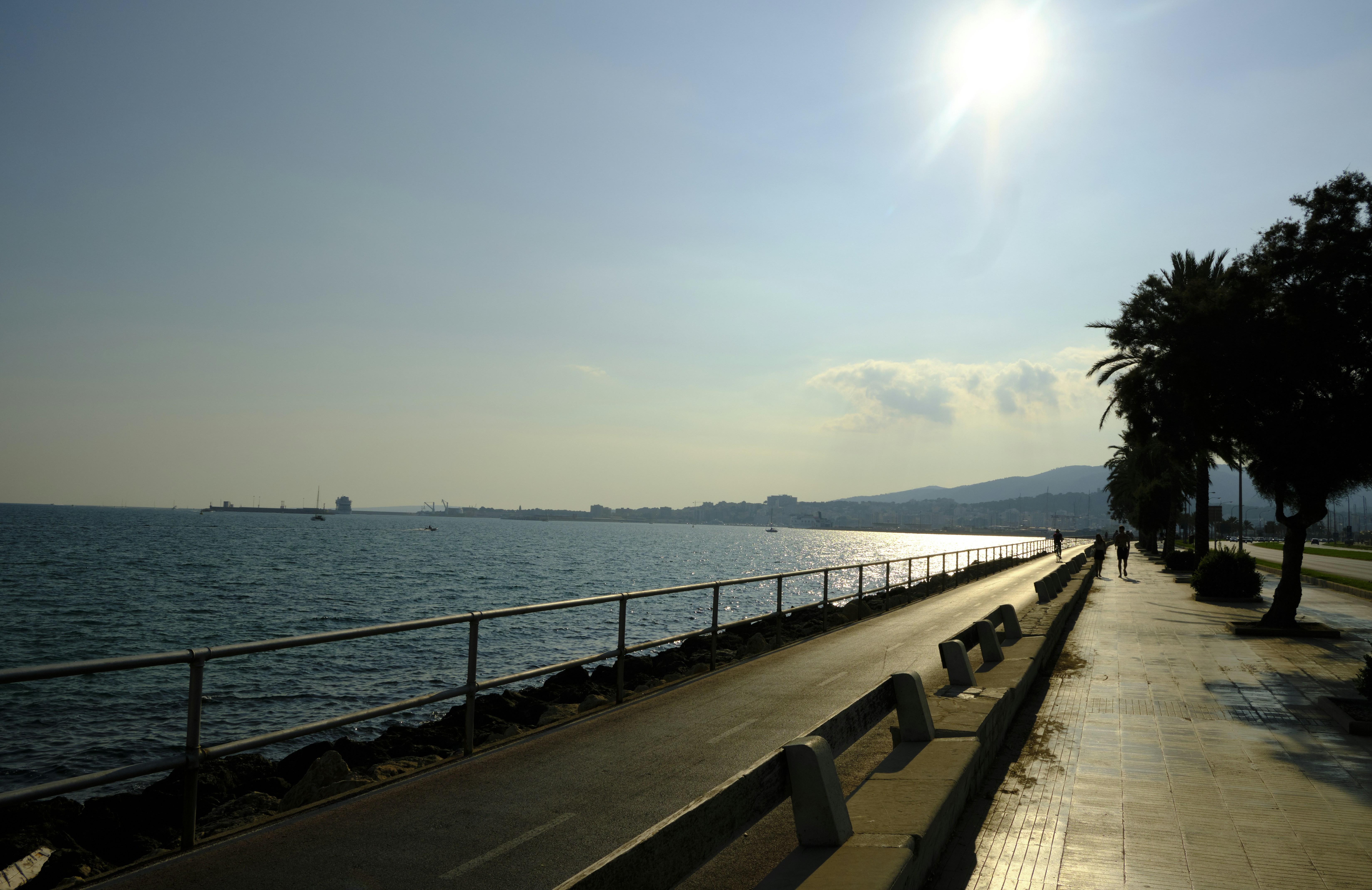 Seaside promenade in Palma, Mallorca, with sunlight illuminating the pathway and casting shadows from nearby trees.